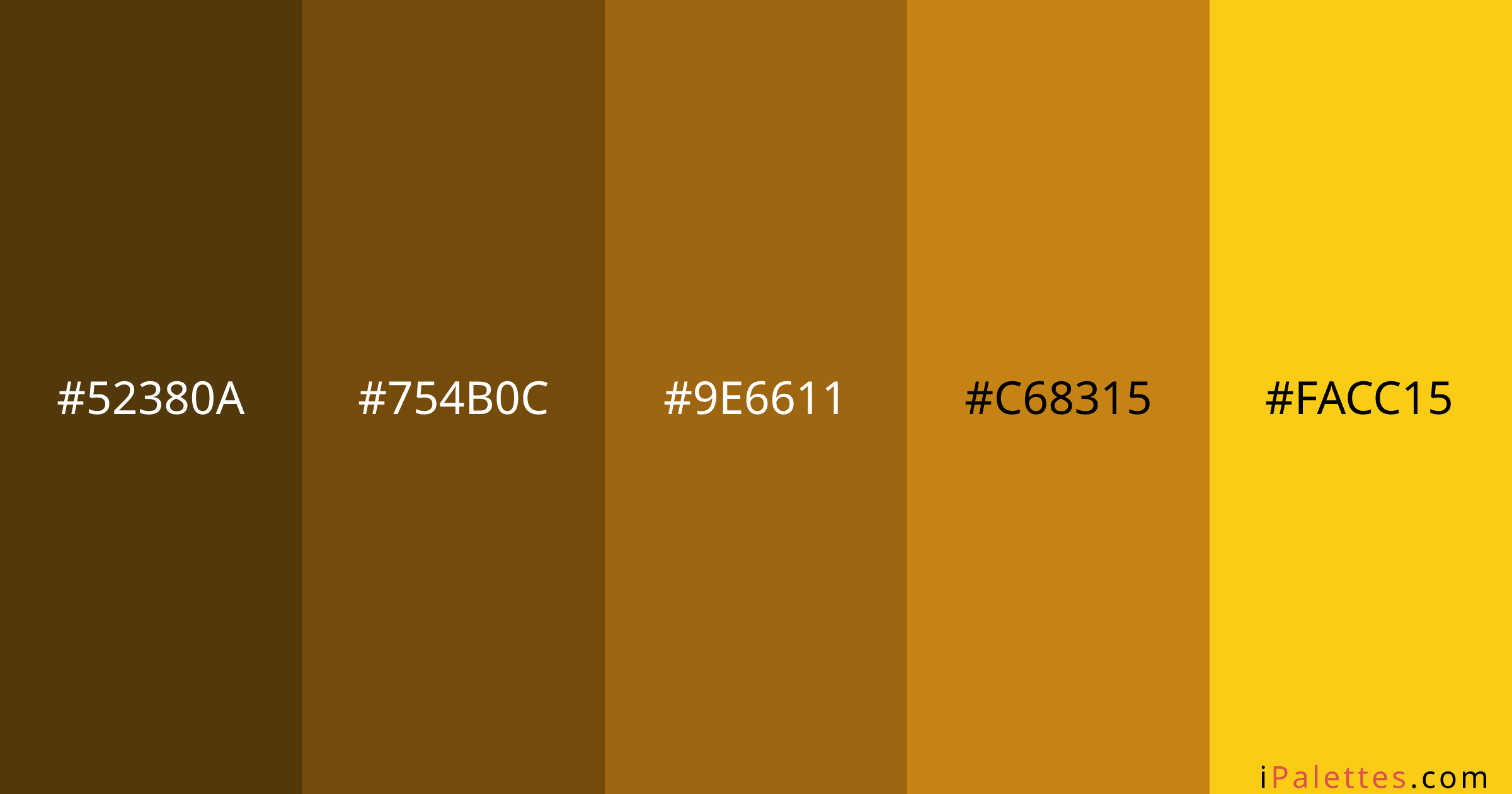 Beehive Color Palette and colors #52380A #754B0C #9E6611 #C68315 # ...