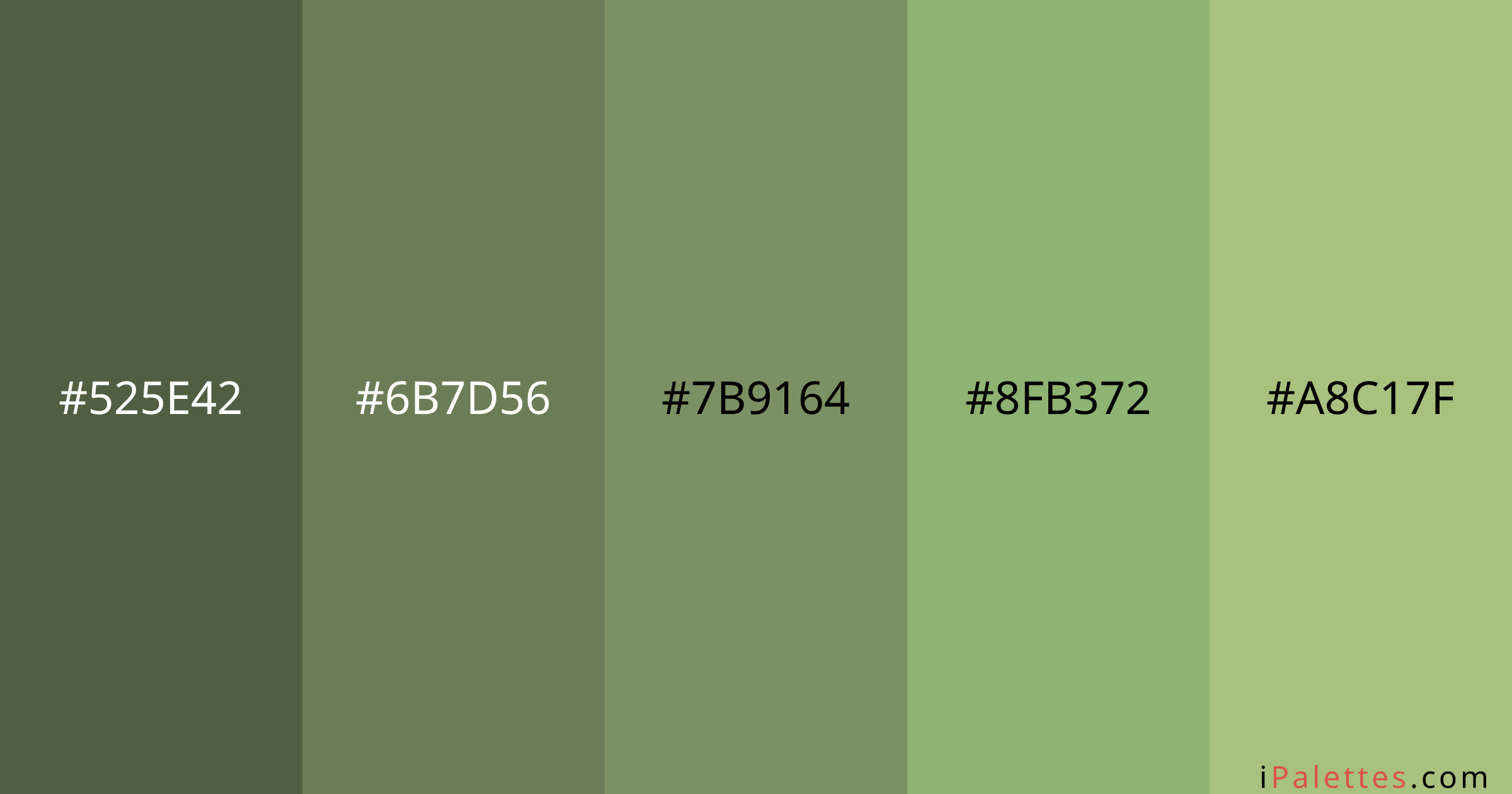 Succulent Color Palette and colors #525E42 #6B7D56 #7B9164 #8FB372 # ...