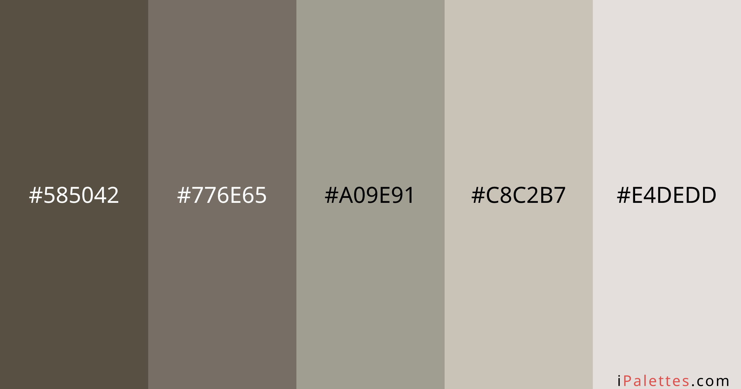 Quality Color Palette and colors #585042 #776e65 #a09e91 #c8c2b7 # ...