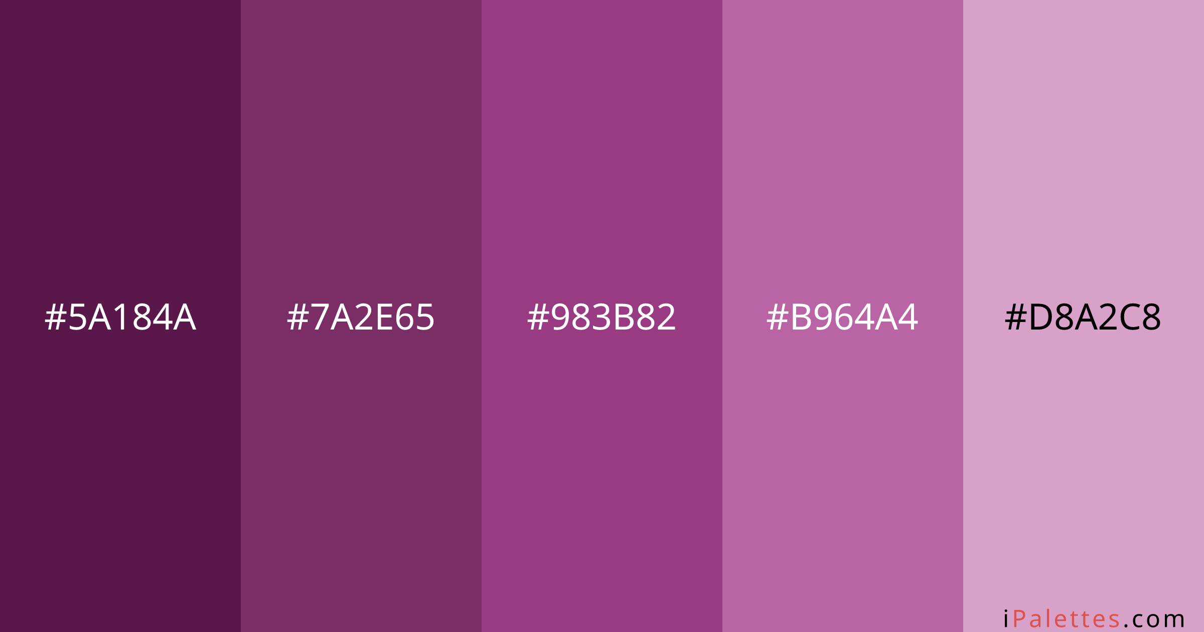 Amethyst Color Palette and colors #5A184A #7A2E65 #983B82 #B964A4 # ...
