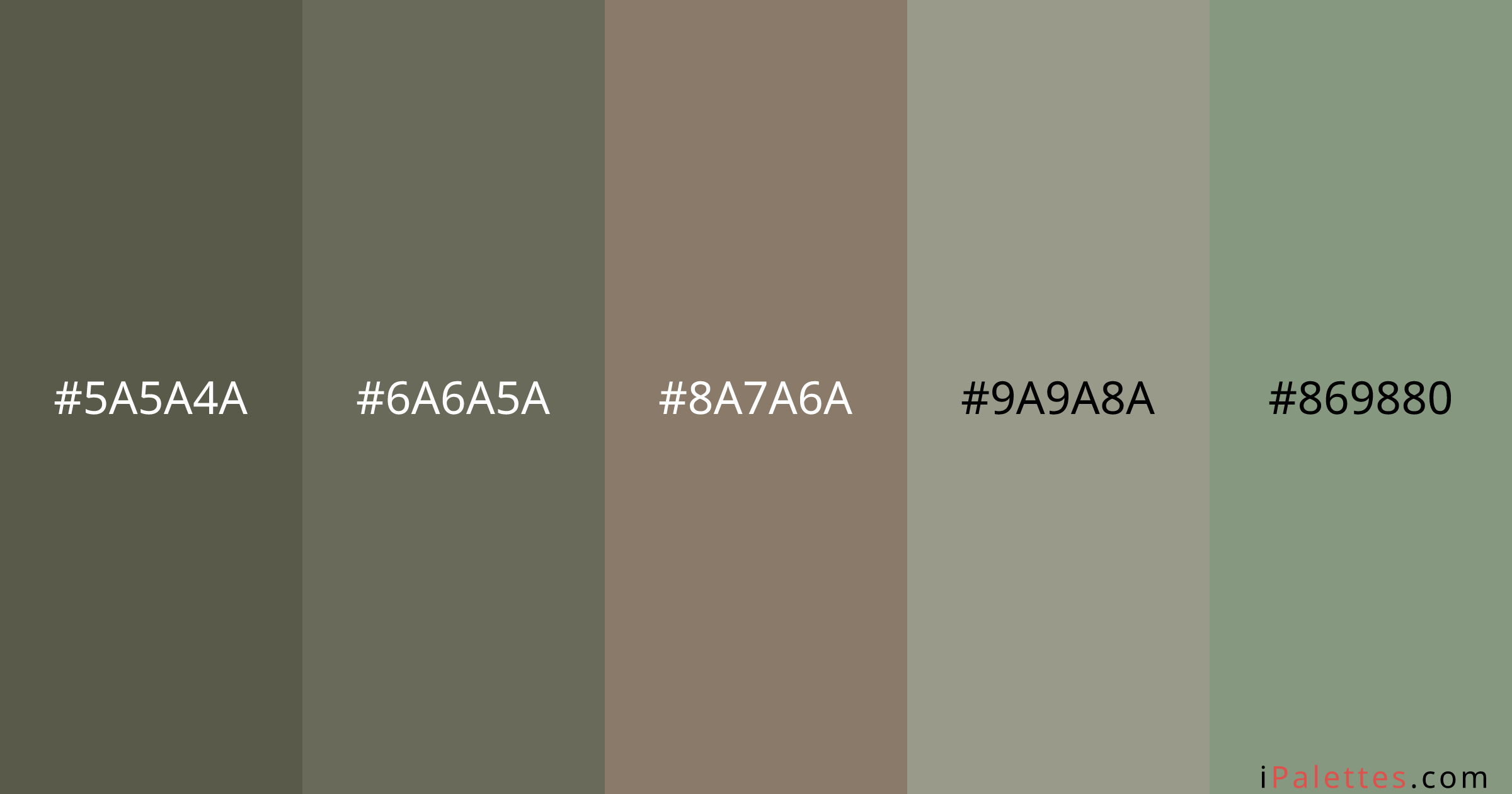 Zombie Color Palette and colors #5A5A4A #6A6A5A #8A7A6A #9A9A8A #869880 ...