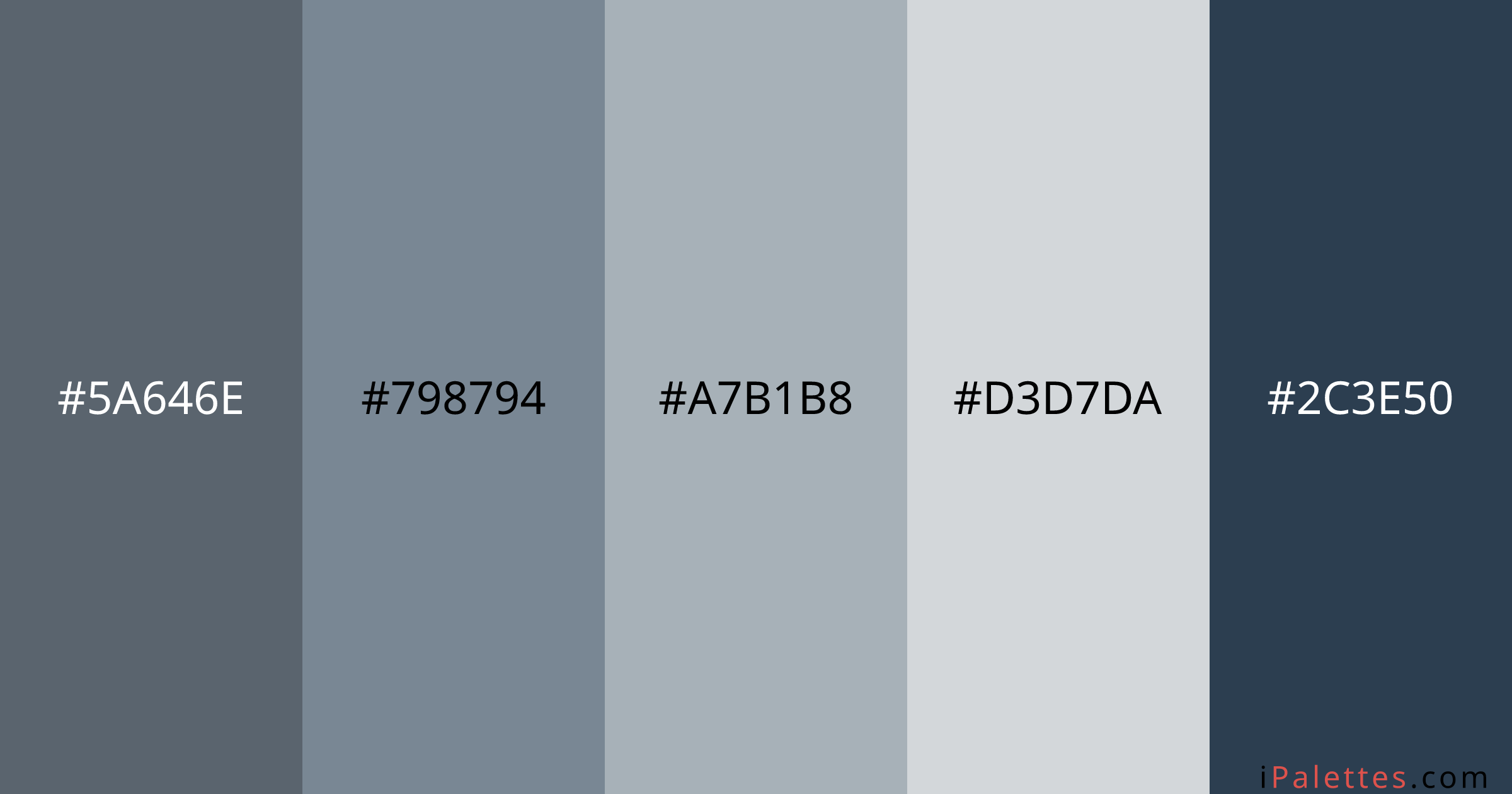 Mountain Color Palette and colors #5A646E #798794 #A7B1B8 #D3D7DA ...