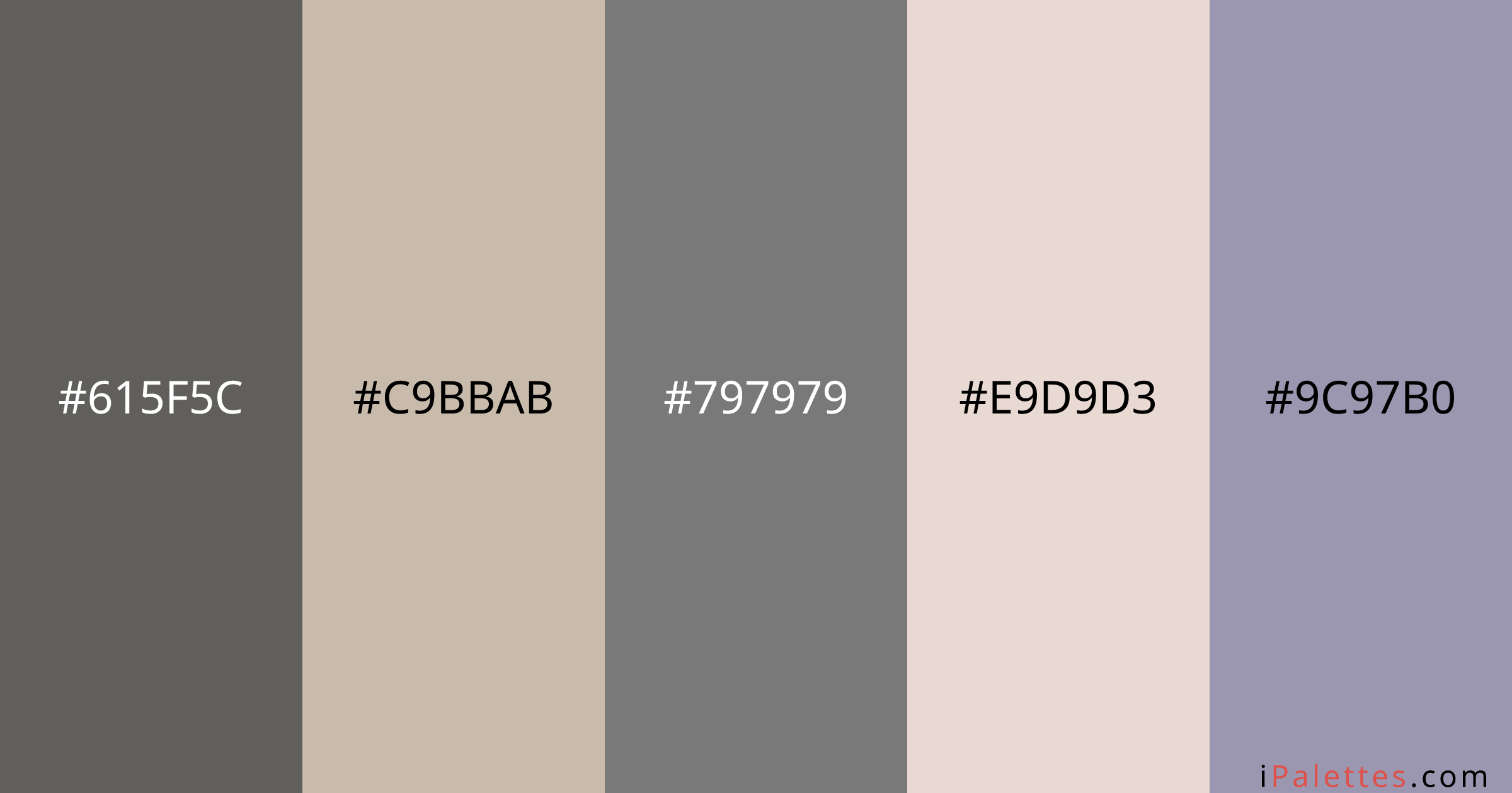 Quality Color Palette and colors #615f5c #c9bbab #797979 #e9d9d3 ...