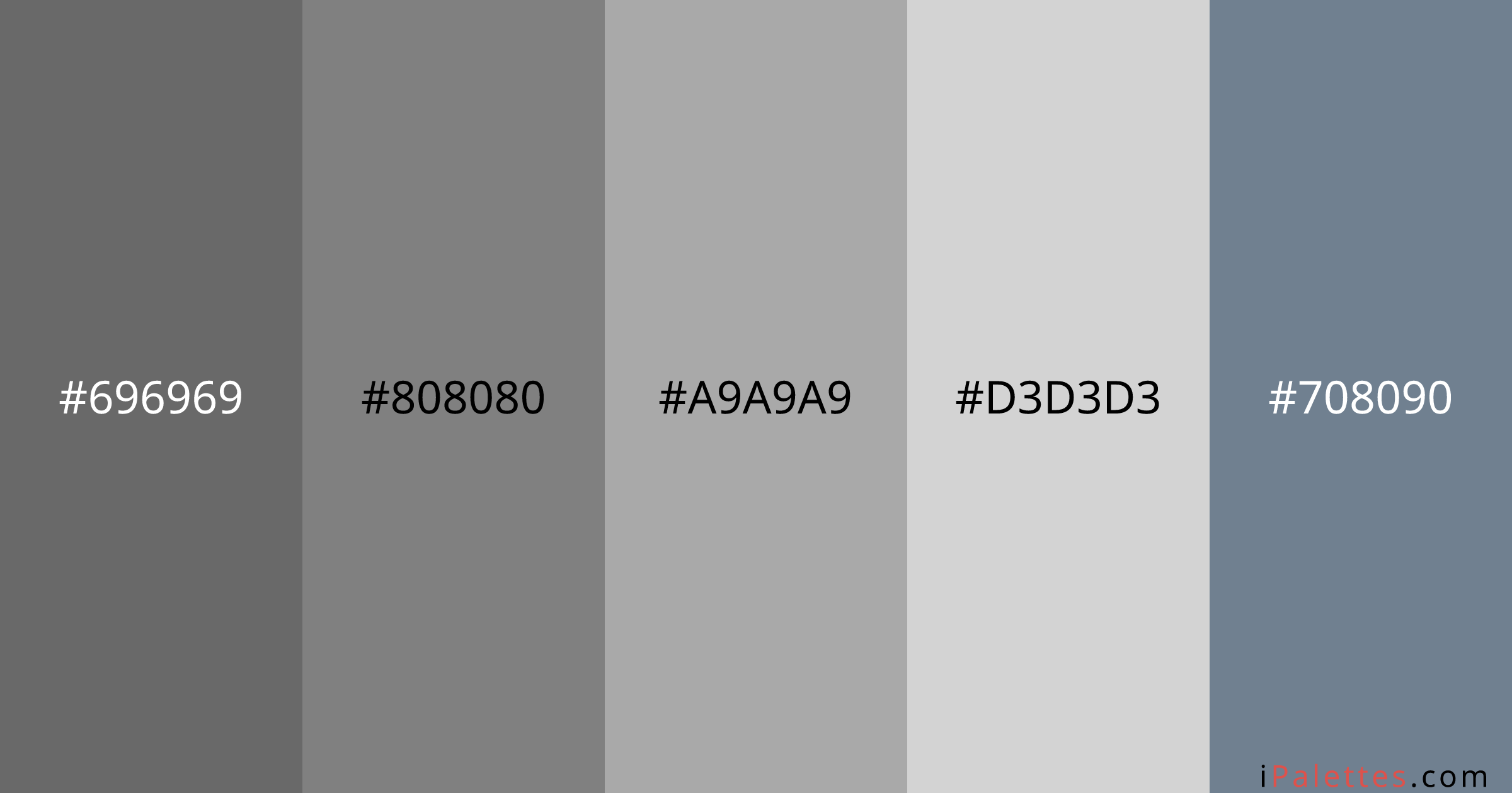 Grunge Color Palette and colors #696969 #808080 #A9A9A9 #D3D3D3 #708090 ...