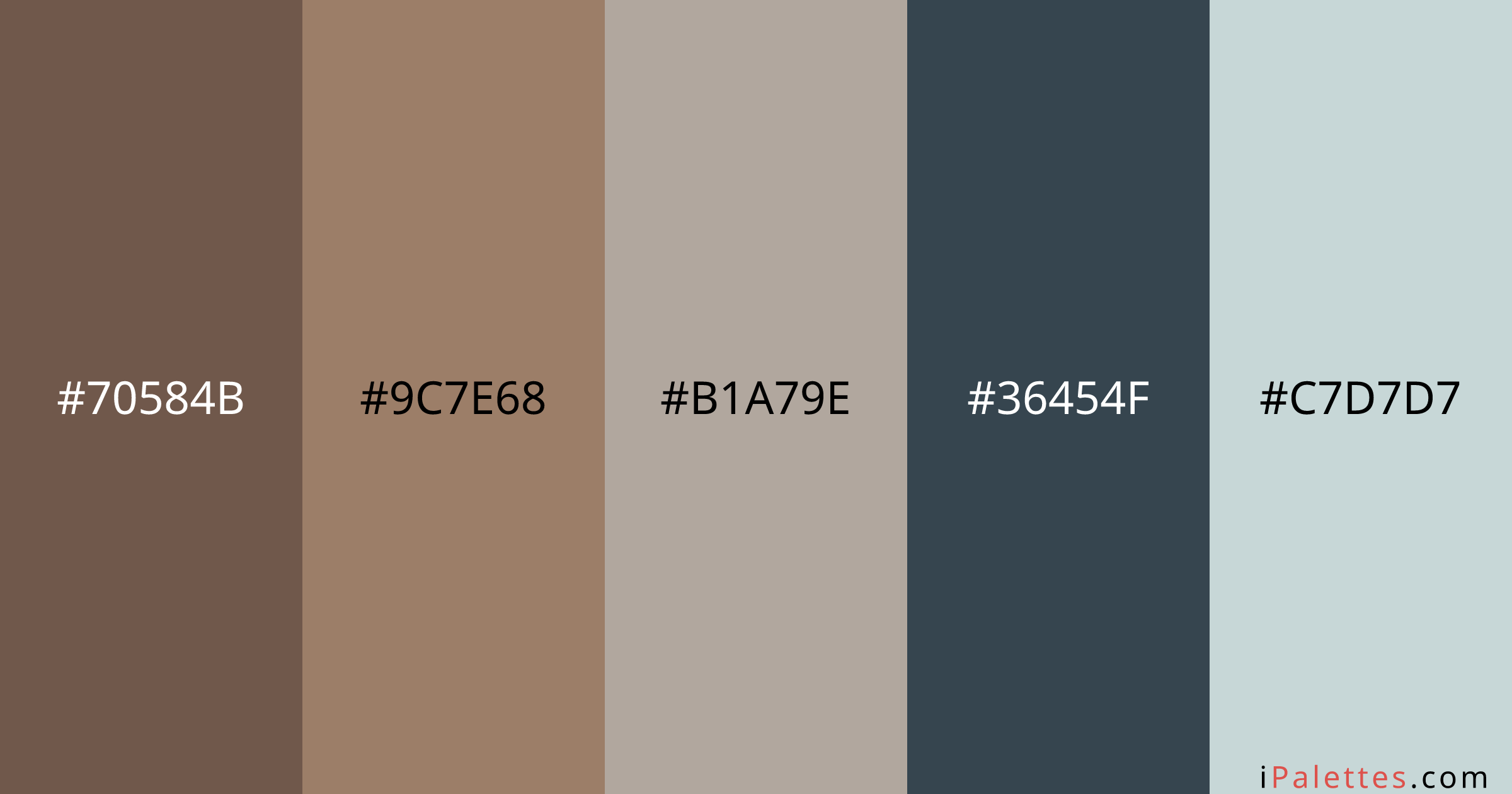 Knight Color Palette and colors #70584b #9c7e68 #b1a79e #36454f #c7d7d7 ...
