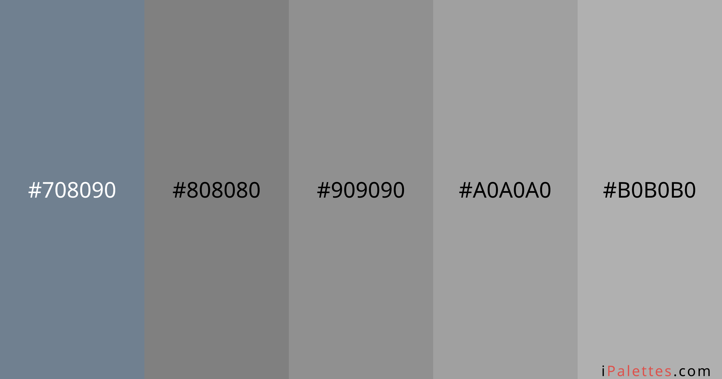 Surfing Wave Color Palette and colors #708090 #808080 #909090 #A0A0A0 # ...
