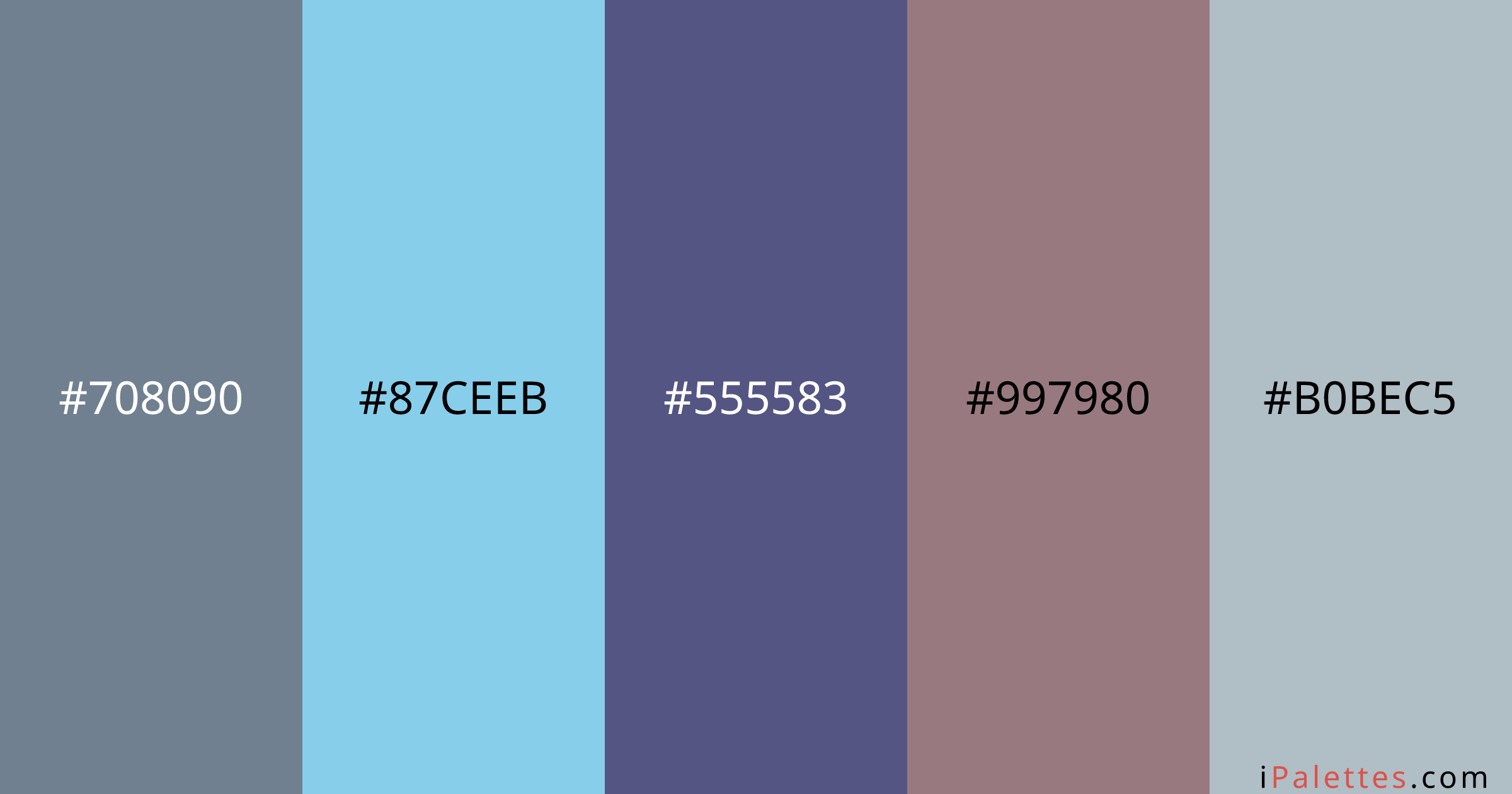Sad Color Palette and colors #708090 #87ceeb #555583 #997980 #b0bec5 ...