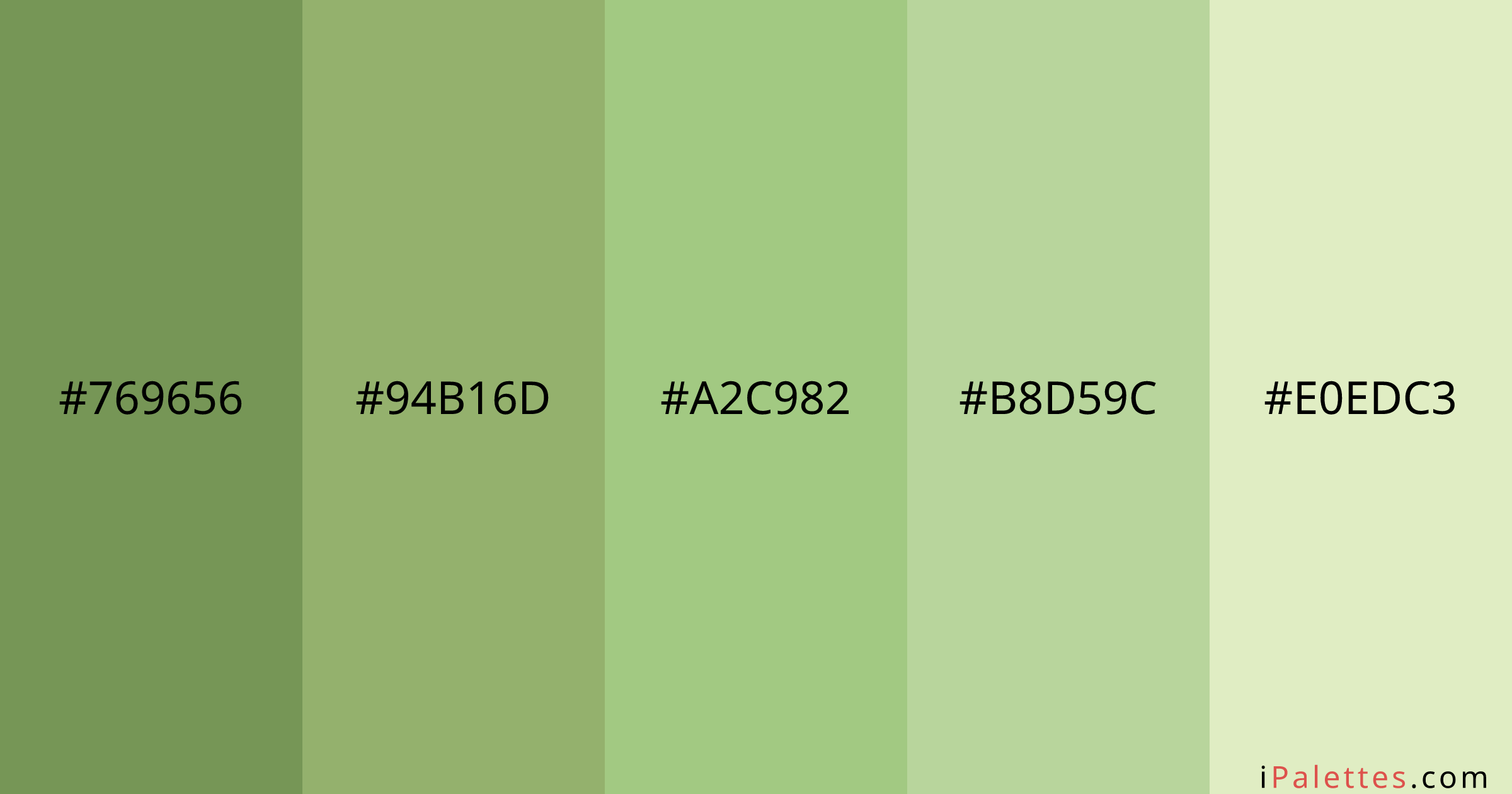 Warm green Color Palette and colors #769656 #94B16D #A2C982 #B8D59C # ...