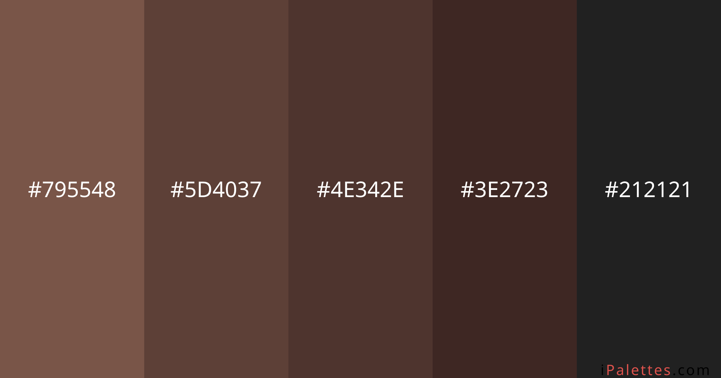 Deep autumn Color Palette and colors #795548 #5D4037 #4E342E #3E2723 ...
