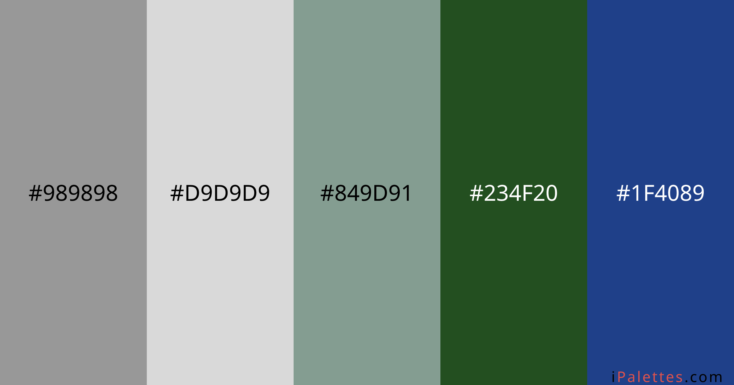 Runi Color Palette and colors #989898 #d9d9d9 #849d91 #234f20 #1f4089 ...