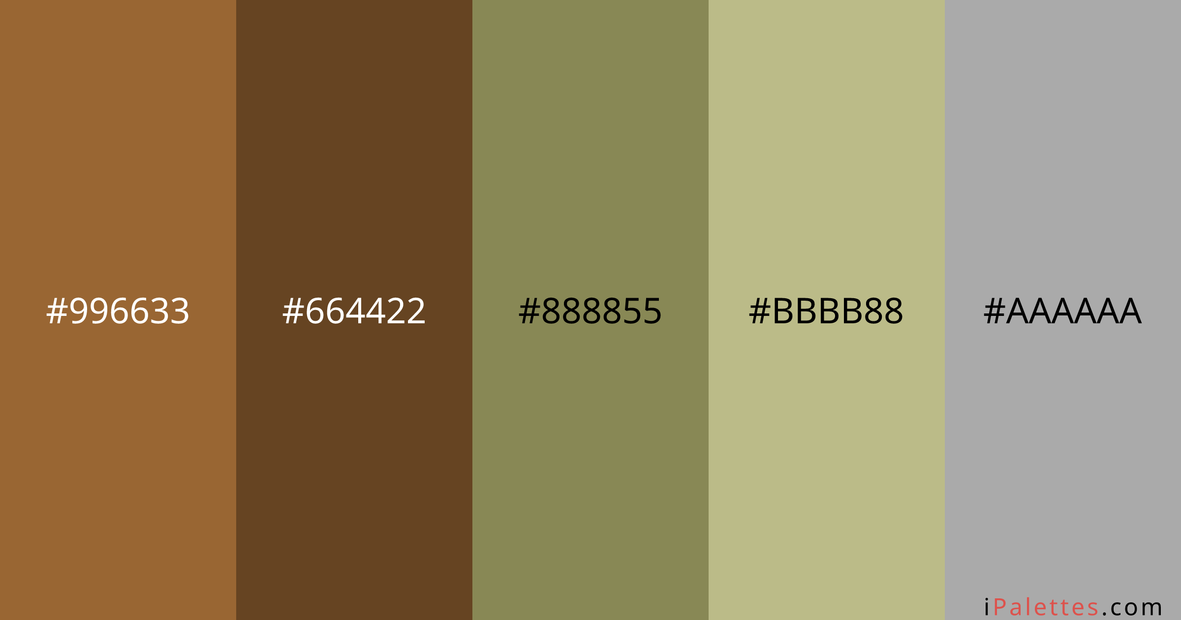 Coal the Pet Rock Color Palette and colors #996633 #664422 #888855 # ...