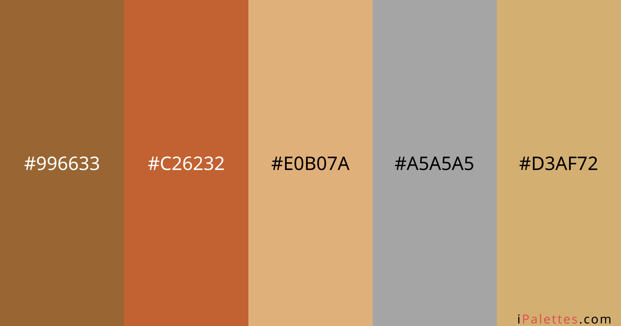 Sarajevo Color Palette and colors #996633 #c26232 #e0b07a #a5a5a5 # ...