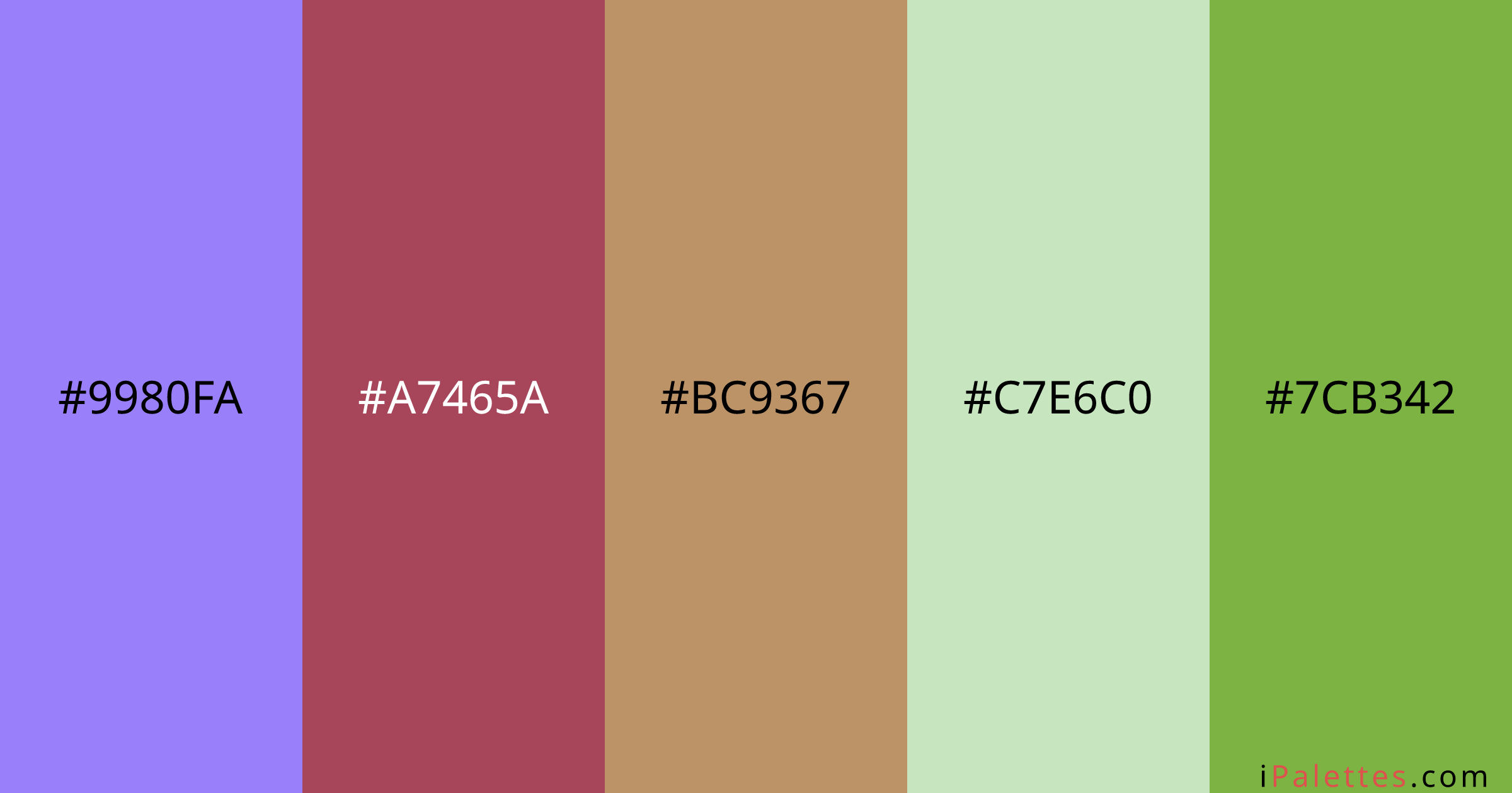 Magical fantasy steampunk Color Palette and colors #9980fa #a7465a # ...