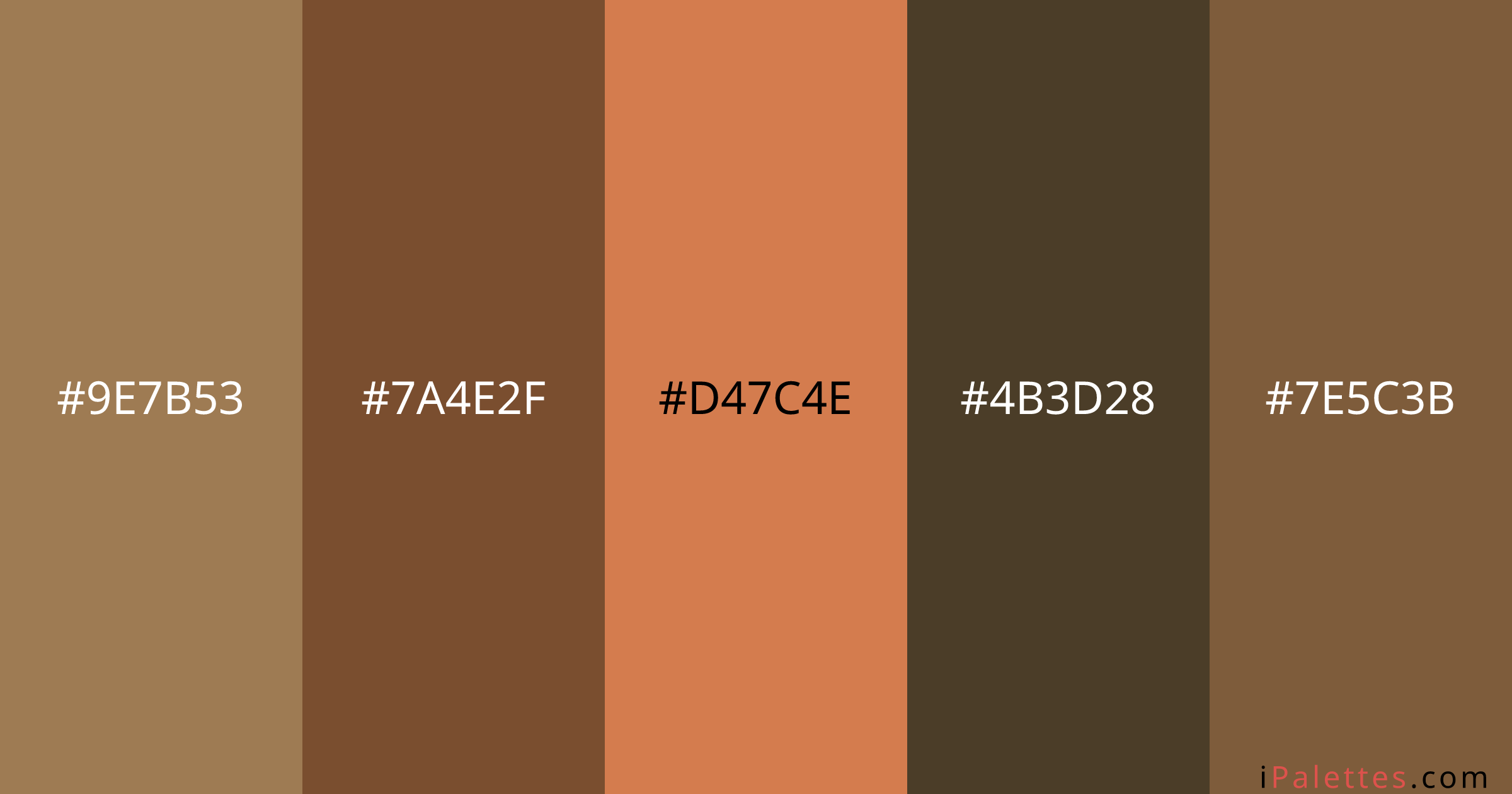 Steampunk Forge Color Palette and colors #9E7B53 #7A4E2F #D47C4E ...