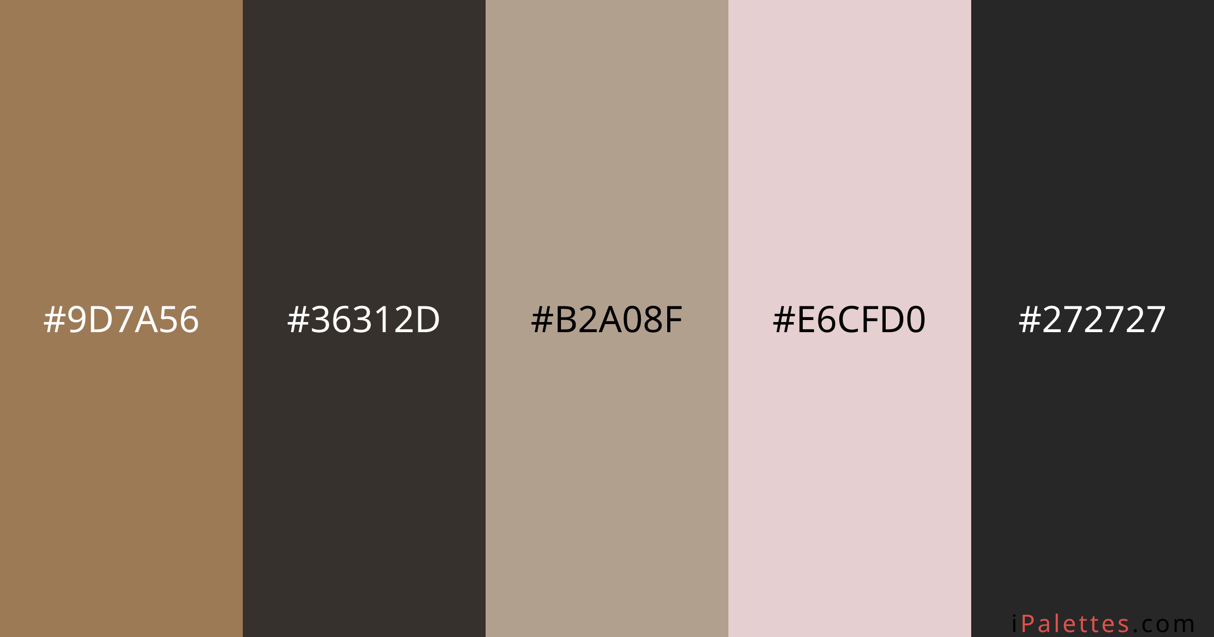 Rdr2 Color Palette and colors #9d7a56 #36312d #b2a08f #e6cfd0 #272727 ...