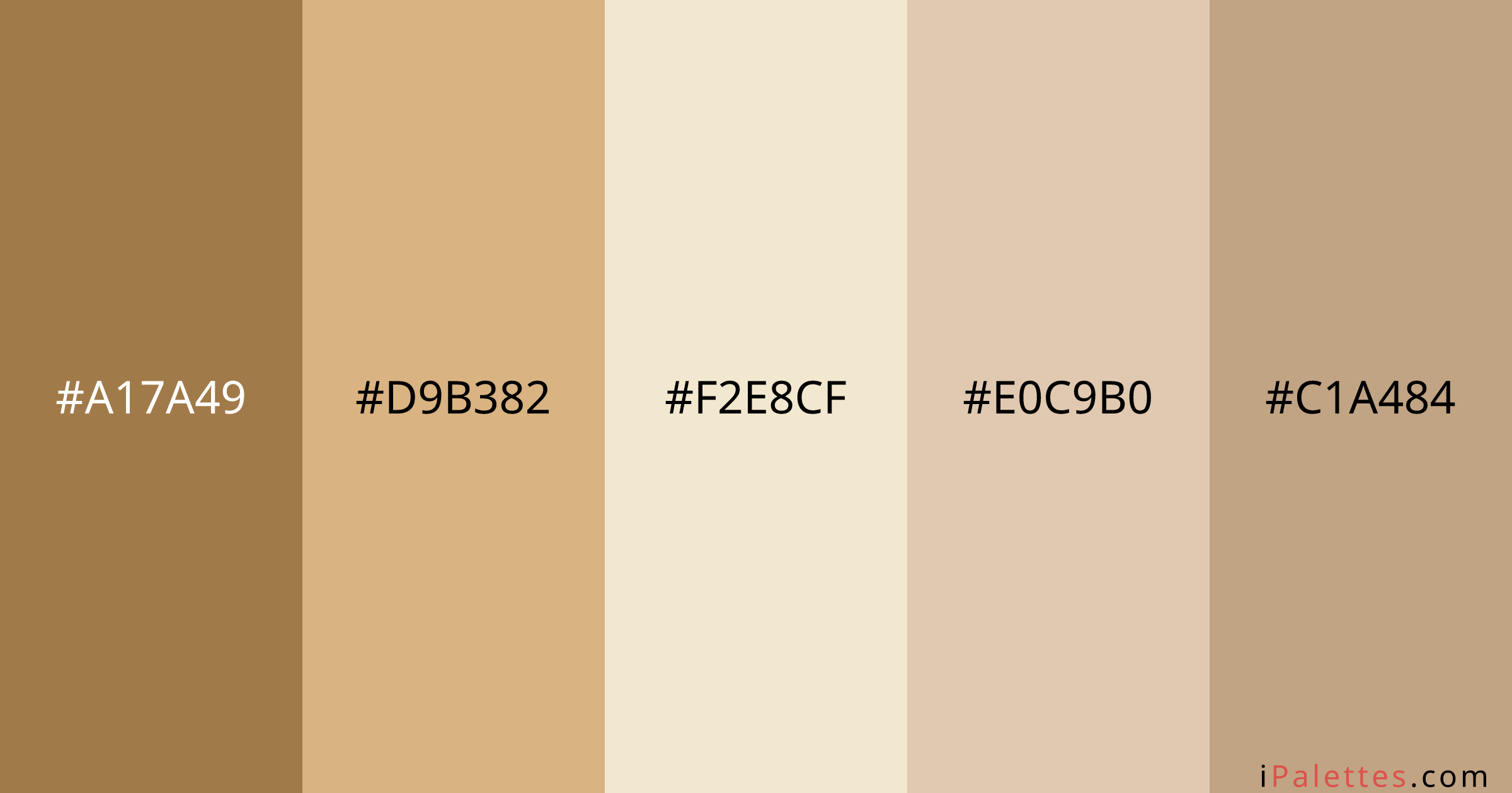 Desert Color Palette and colors #A17A49 #D9B382 #F2E8CF #E0C9B0 #C1A484 ...
