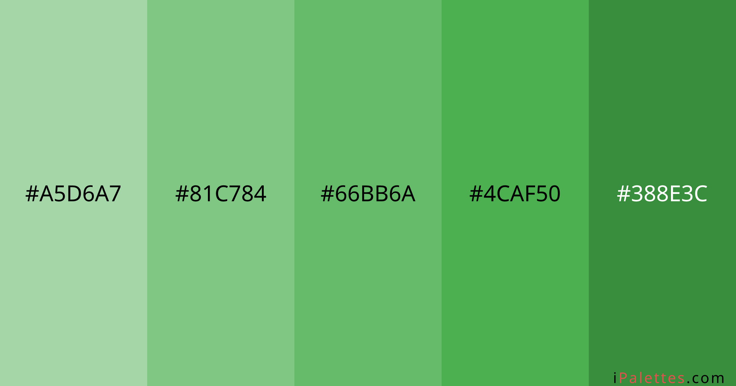 Forest Color Palette and colors #A5D6A7 #81C784 #66BB6A #4CAF50 #388E3C ...