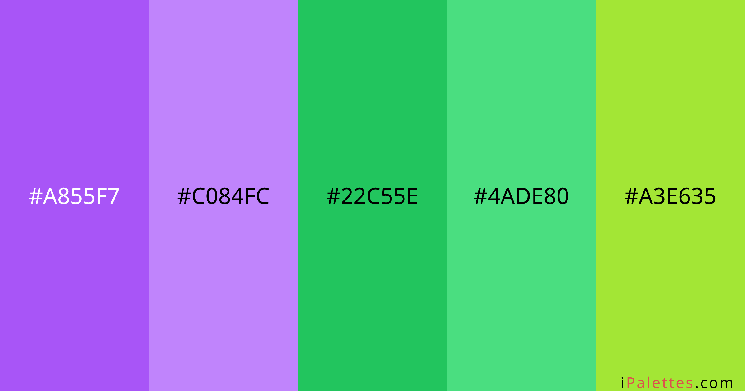 Lavender and green Color Palette and colors #A855F7 #C084FC #22C55E ...