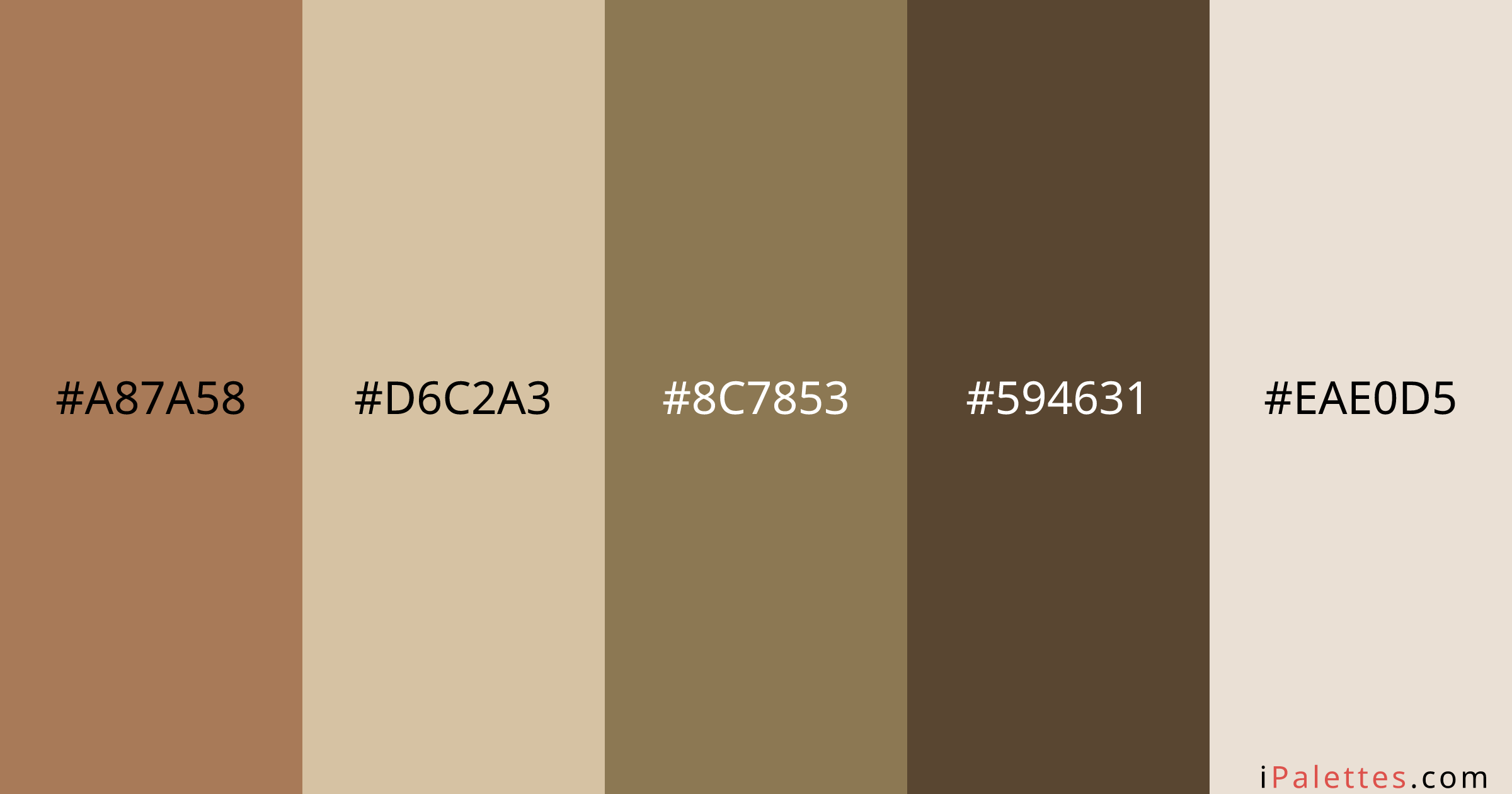 Looey Vintage Color Palette and colors #A87A58 #D6C2A3 #8C7853 #594631 ...