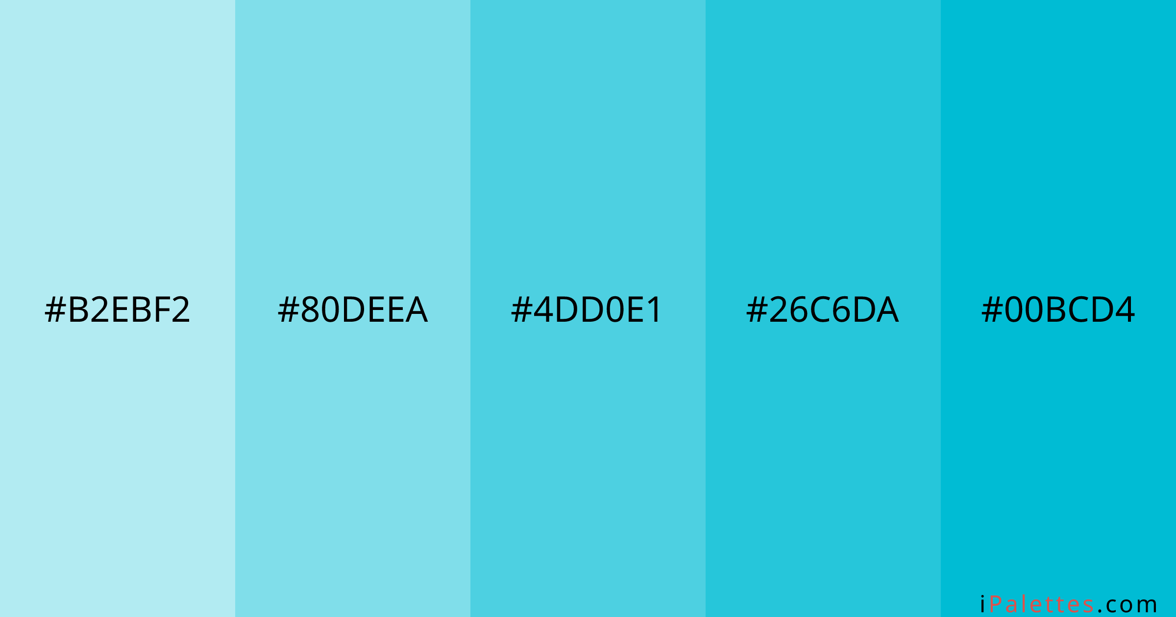 Coolers Color Palette and colors #B2EBF2 #80DEEA #4DD0E1 #26C6DA ...