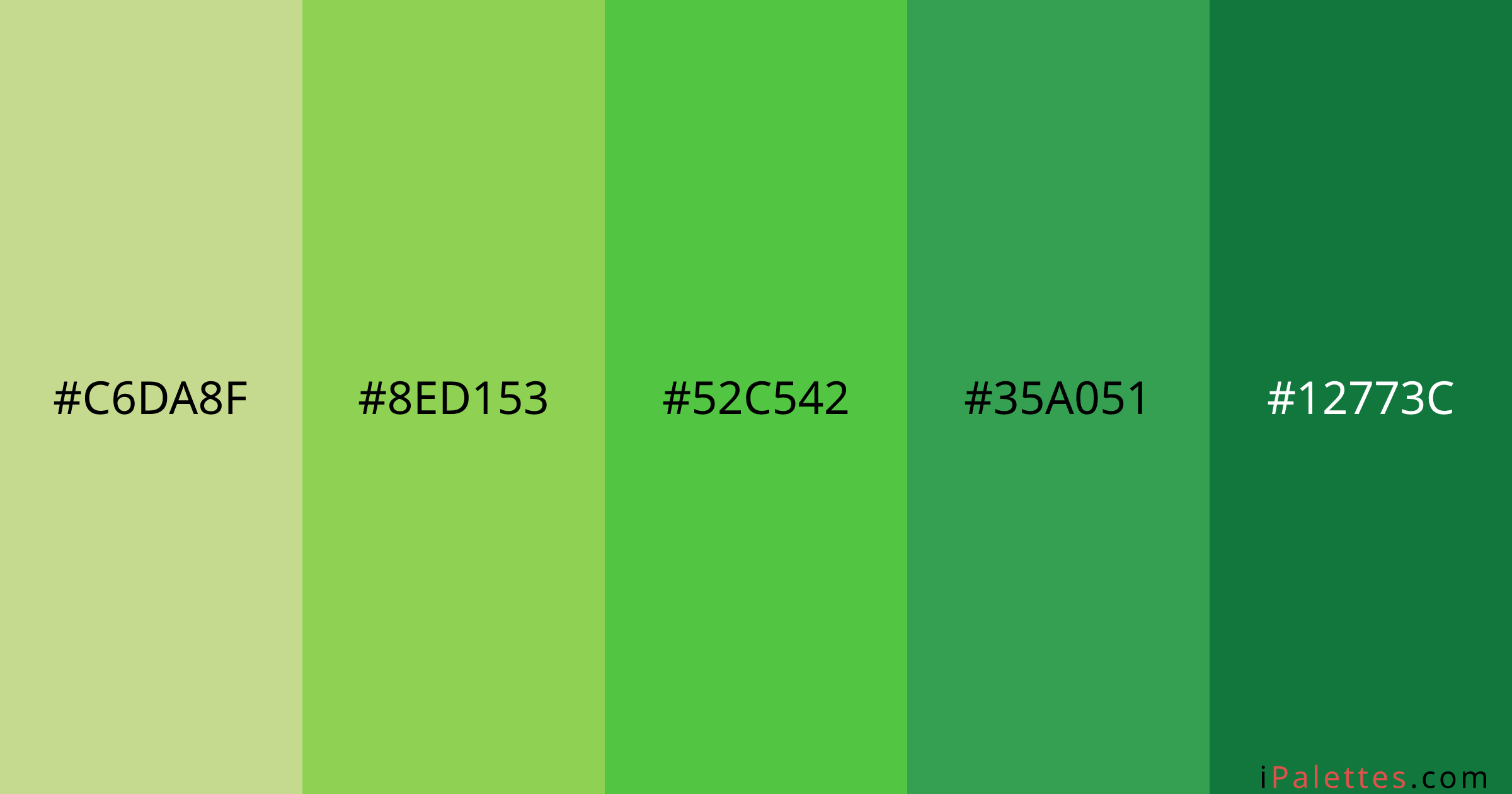 Rainwing Color Palette and colors #C6DA8F #8ED153 #52C542 #35A051 ...