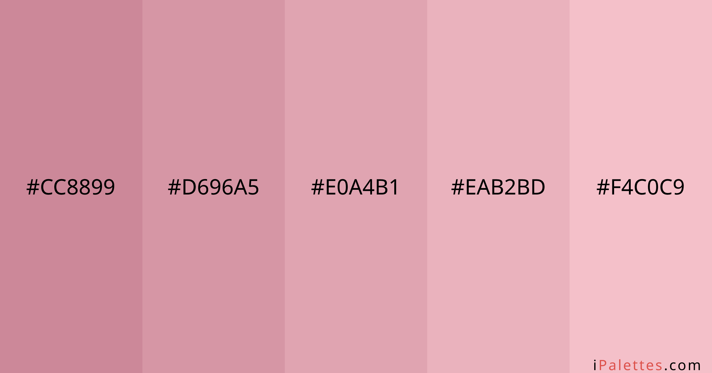 Puce Color Palette and colors #CC8899 #D696A5 #E0A4B1 #EAB2BD #F4C0C9 ...