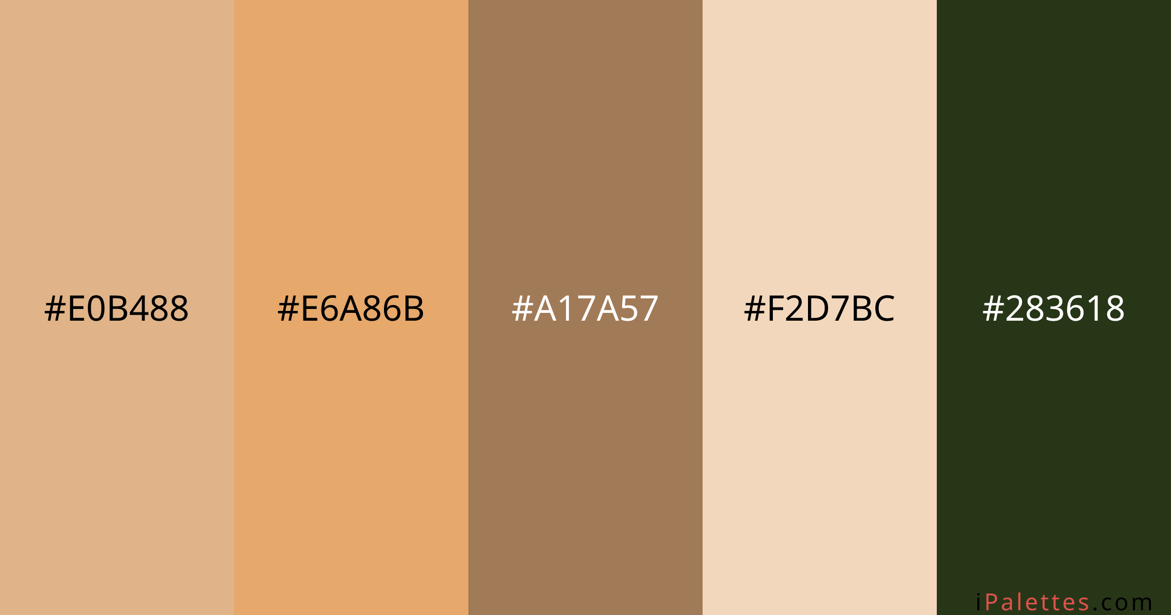 Wes Anderson Color Palette and colors #E0B488 #E6A86B #A17A57 #F2D7BC ...