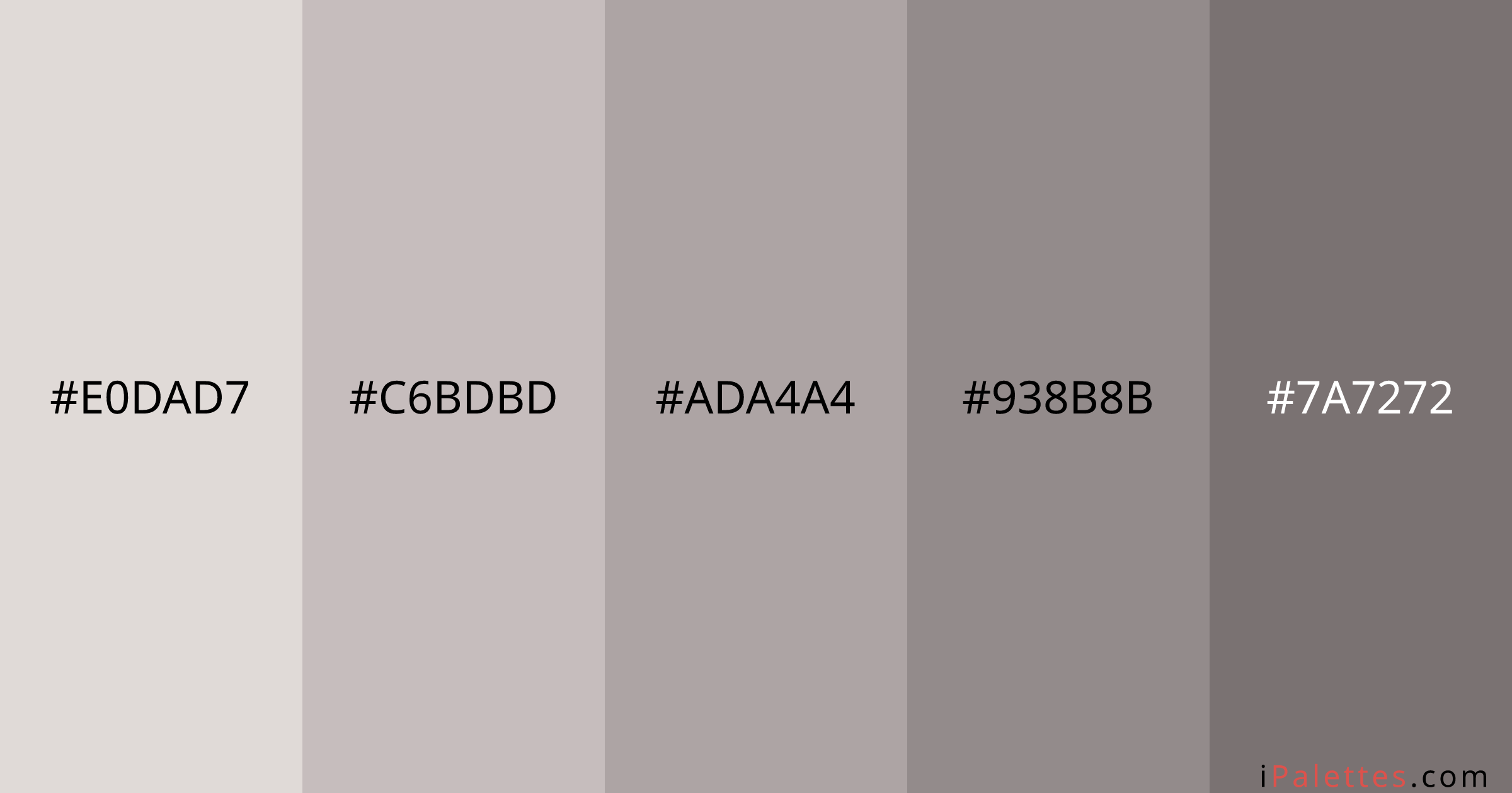 How To Find My Color Color Palette and colors #E0DAD7 #C6BDBD #ADA4A4 ...