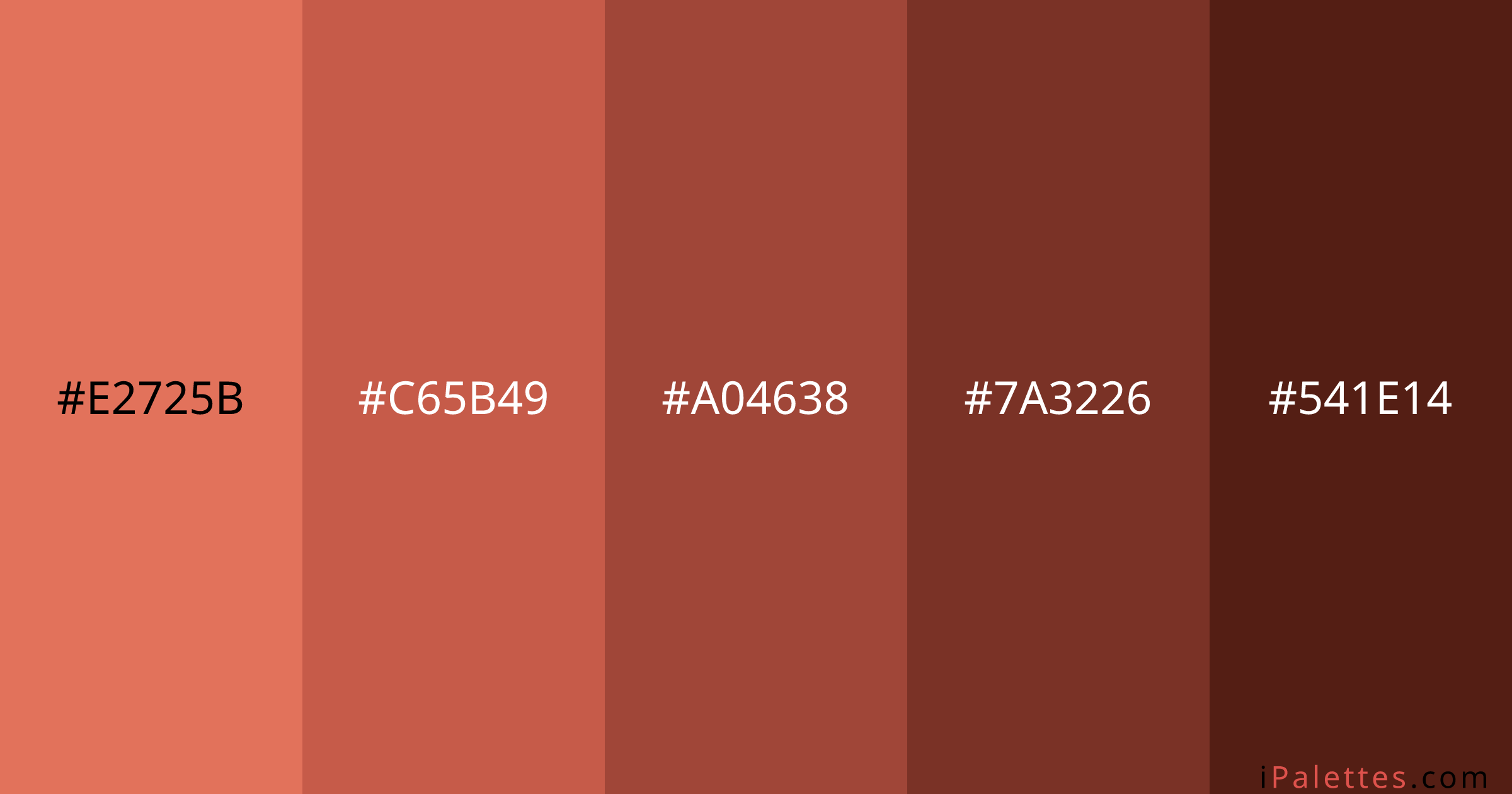 Terracotta Color Color Palette and colors #E2725B #C65B49 #A04638 ...