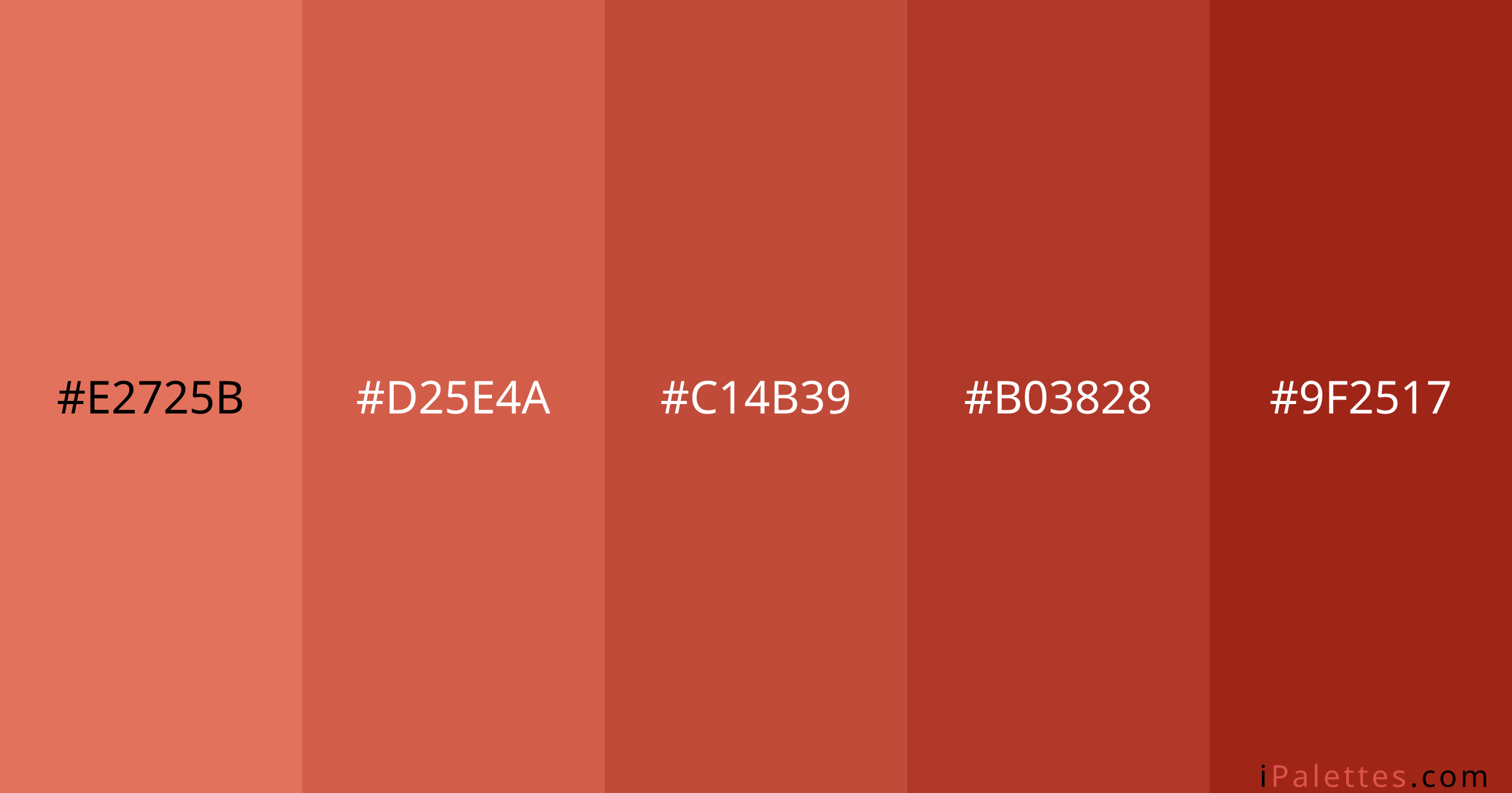 Terracotta Color Palette and colors #E2725B #D25E4A #C14B39 #B03828 ...