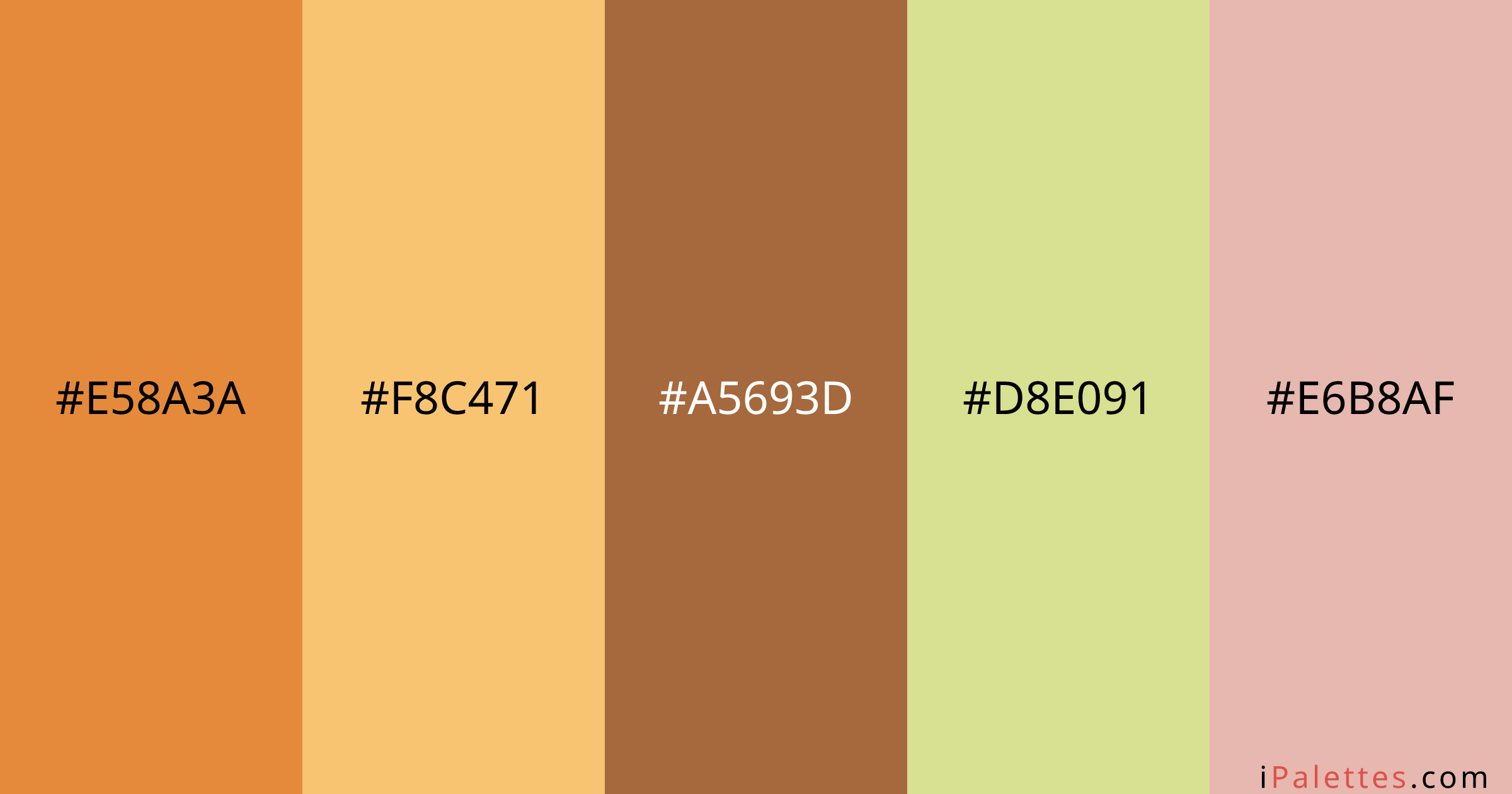 Autumn Harvest Color Palette and colors #E58A3A #F8C471 #A5693D #D8E091 ...