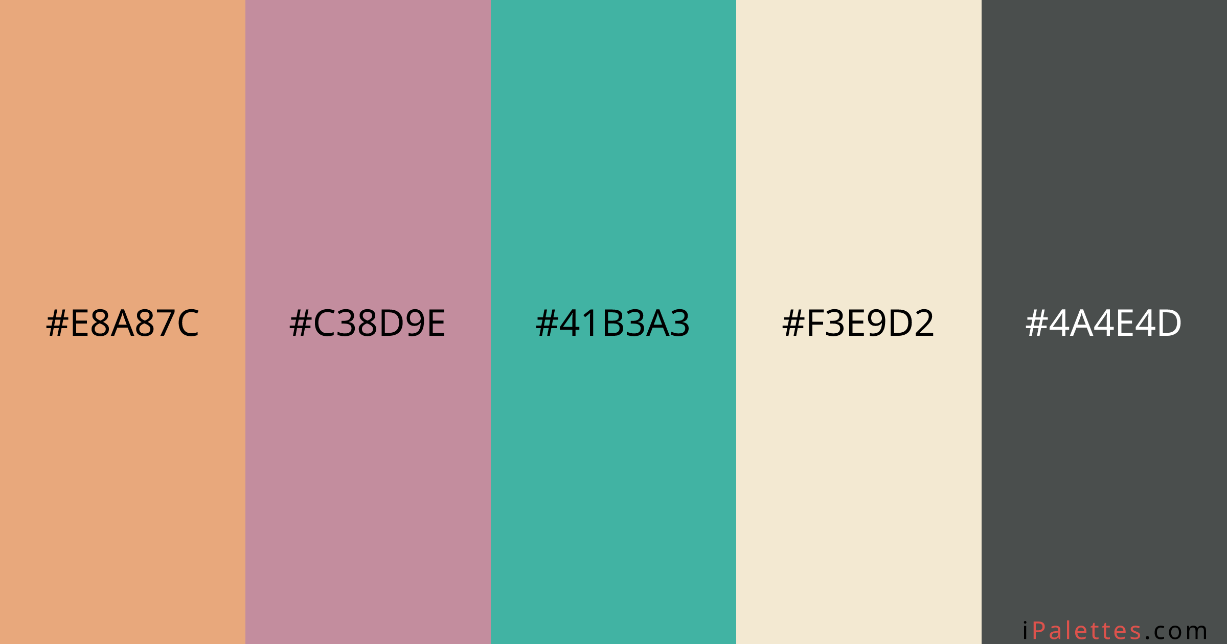 Retro Color Palette and colors #E8A87C #C38D9E #41B3A3 #F3E9D2 #4A4E4D ...