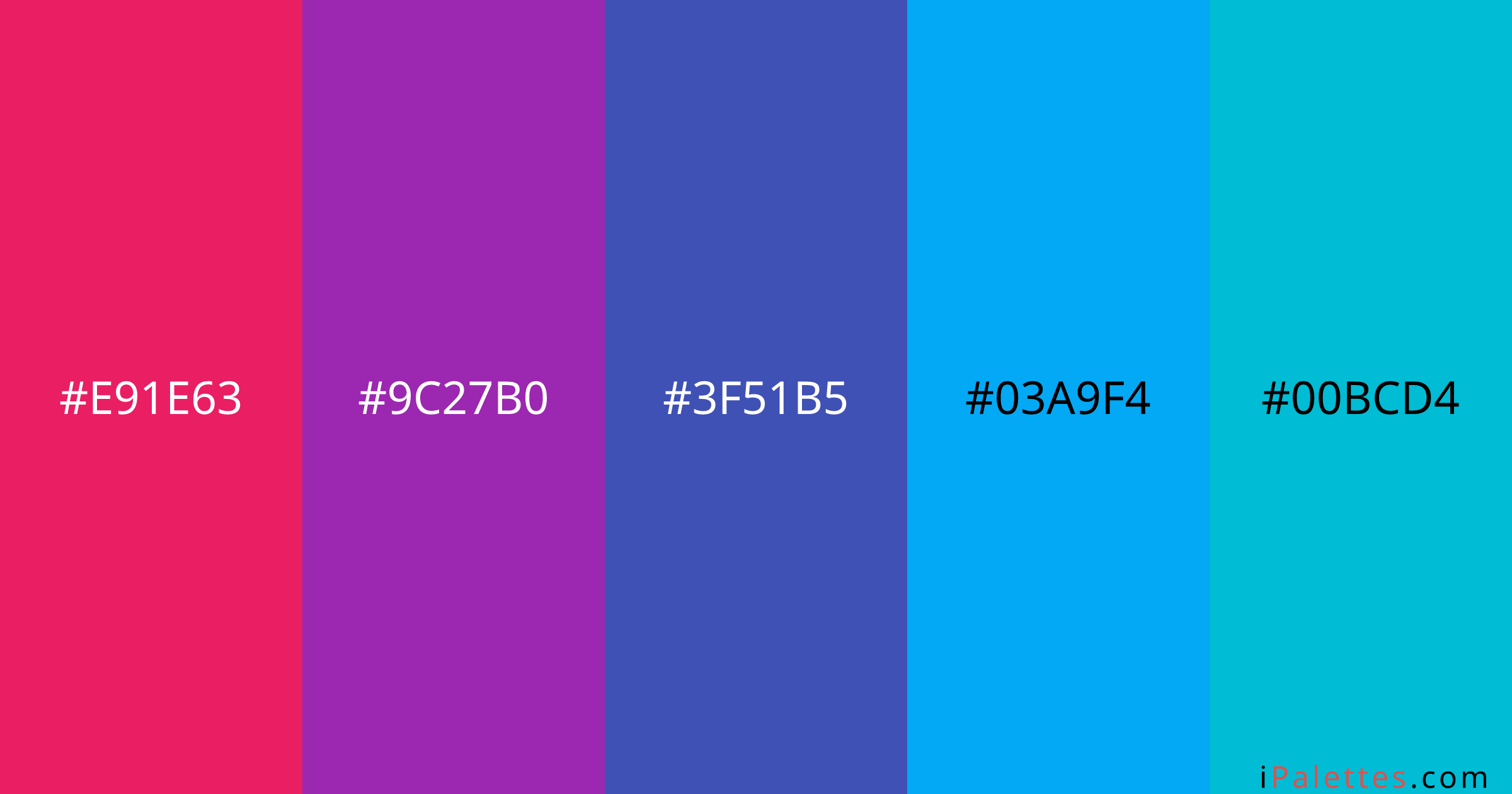Neon City Color Palette and colors #E91E63 #9C27B0 #3F51B5 #03A9F4 ...