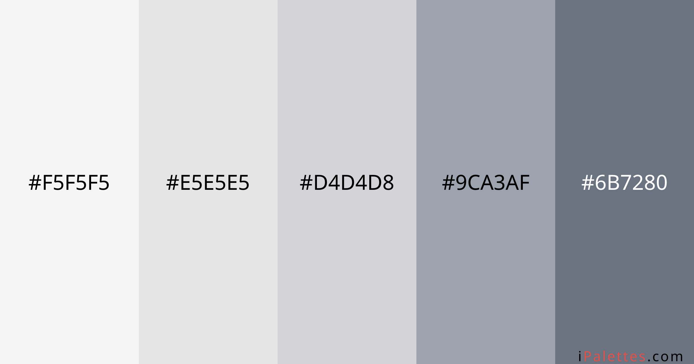 Diamond Color Palette and colors #F5F5F5 #E5E5E5 #D4D4D8 #9CA3AF ...