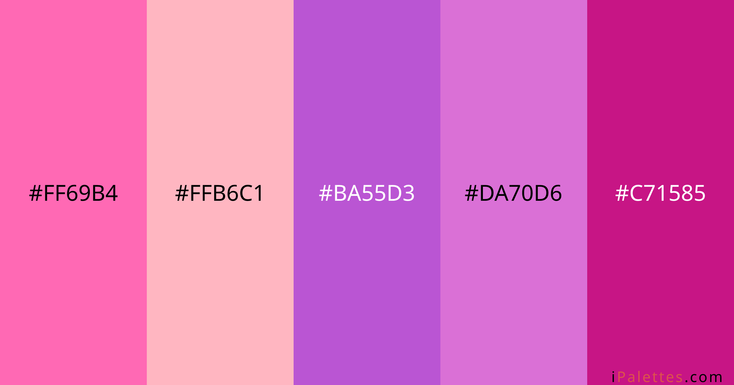 Pink and Purple Color Palette and colors #FF69B4 #FFB6C1 #BA55D3 # ...