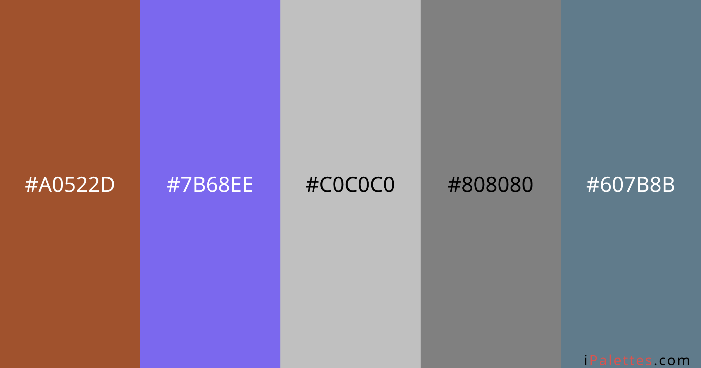 Slow Color Palette and colors #a0522d #7b68ee #c0c0c0 #808080 #607b8b ...