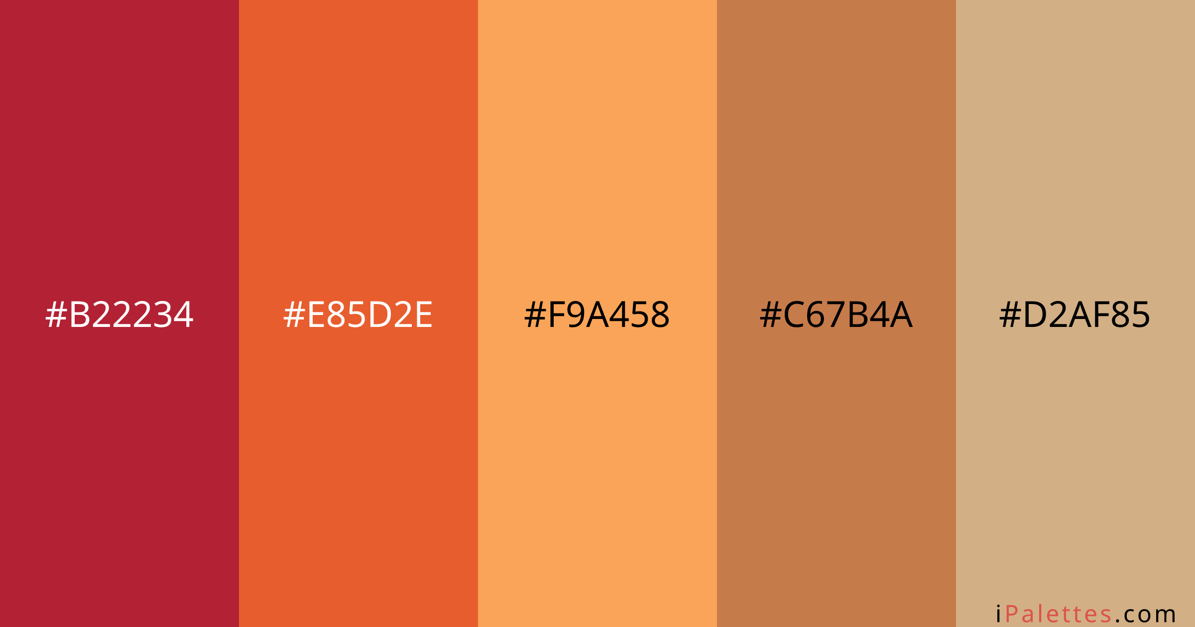乌梅子酱 Color Palette and colors #b22234 #e85d2e #f9a458 #c67b4a #d2af85 ...