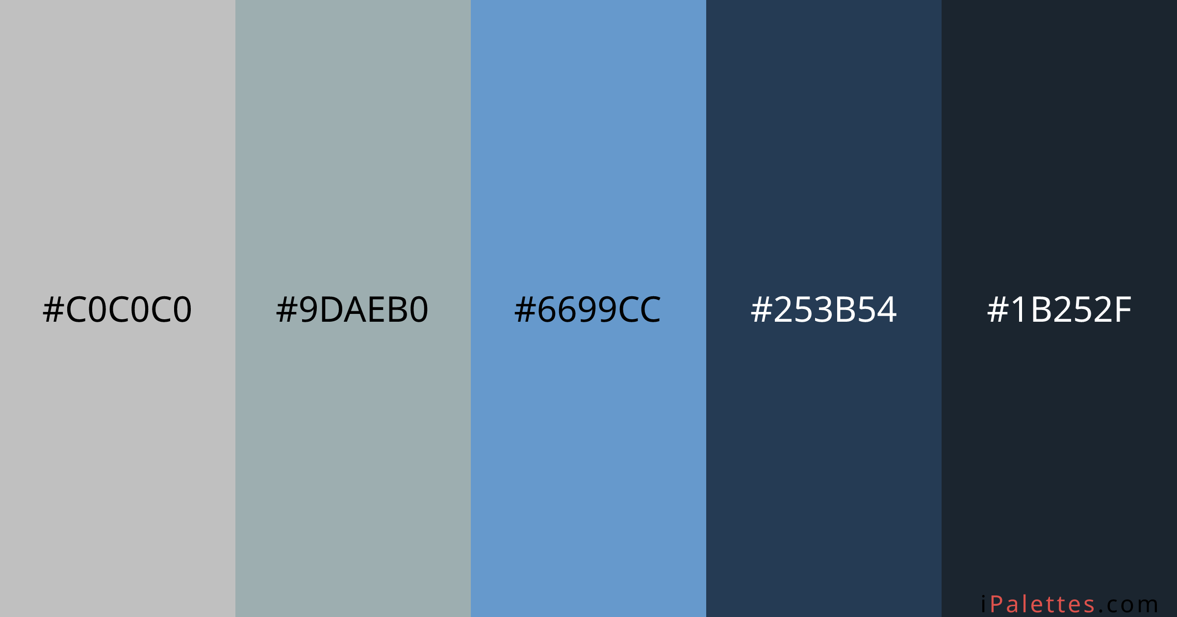 Winter Color Palette and colors #c0c0c0 #9daeb0 #6699cc #253b54 #1b252f ...