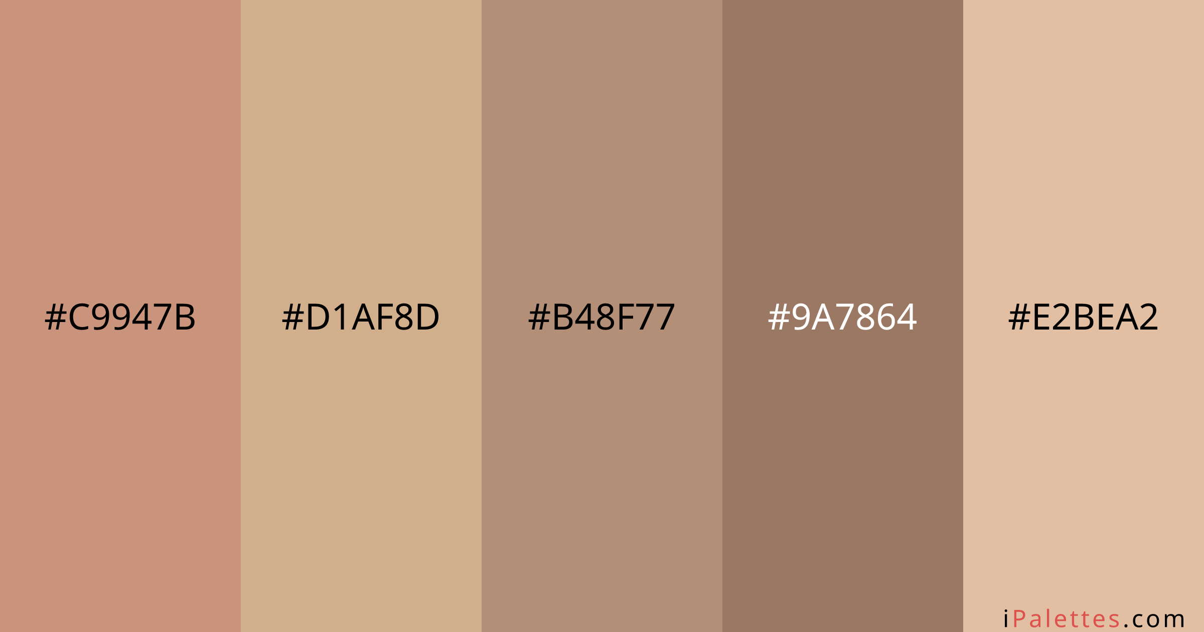 Old World Brews muted bright colors Color Palette and colors #c9947b # ...