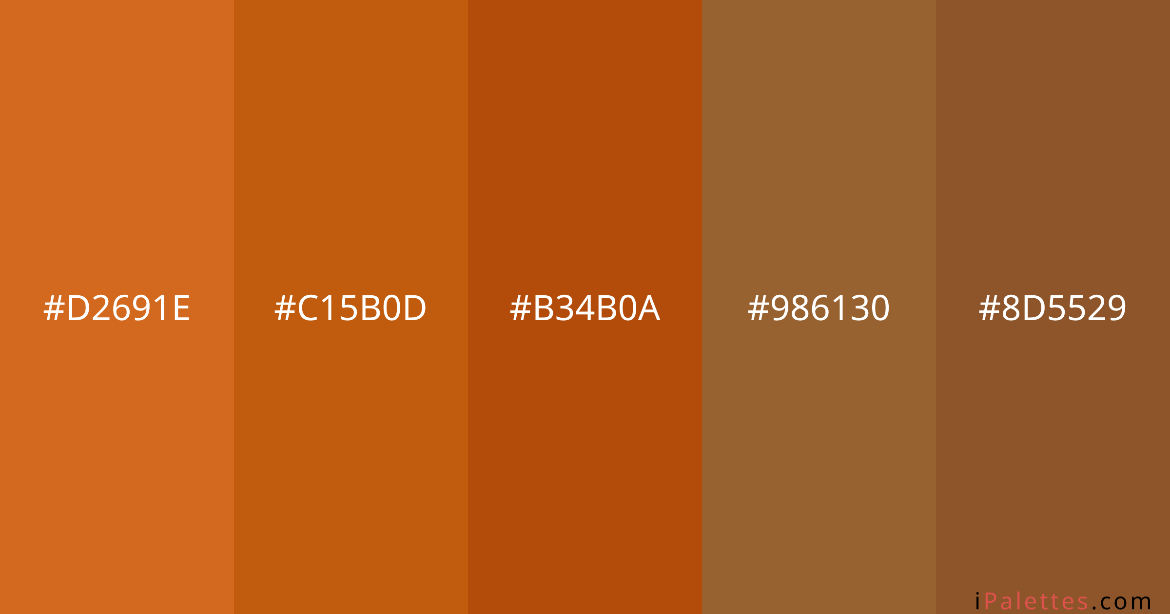Beer Belly Color Palette and colors #d2691e #c15b0d #b34b0a #986130 ...