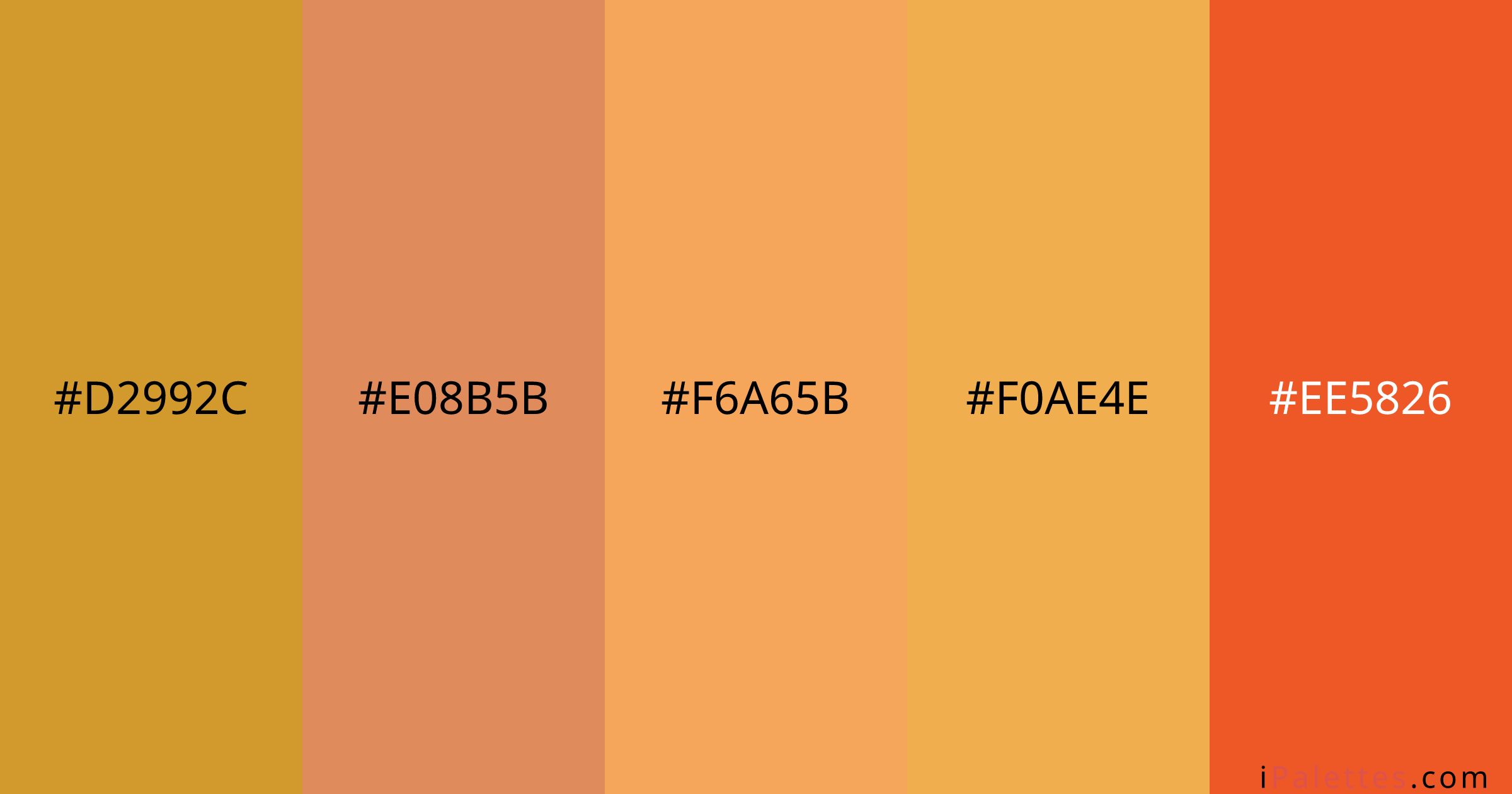 Ginger Color Palette and colors #d2992c #e08b5b #f6a65b #f0ae4e #ee5826 ...