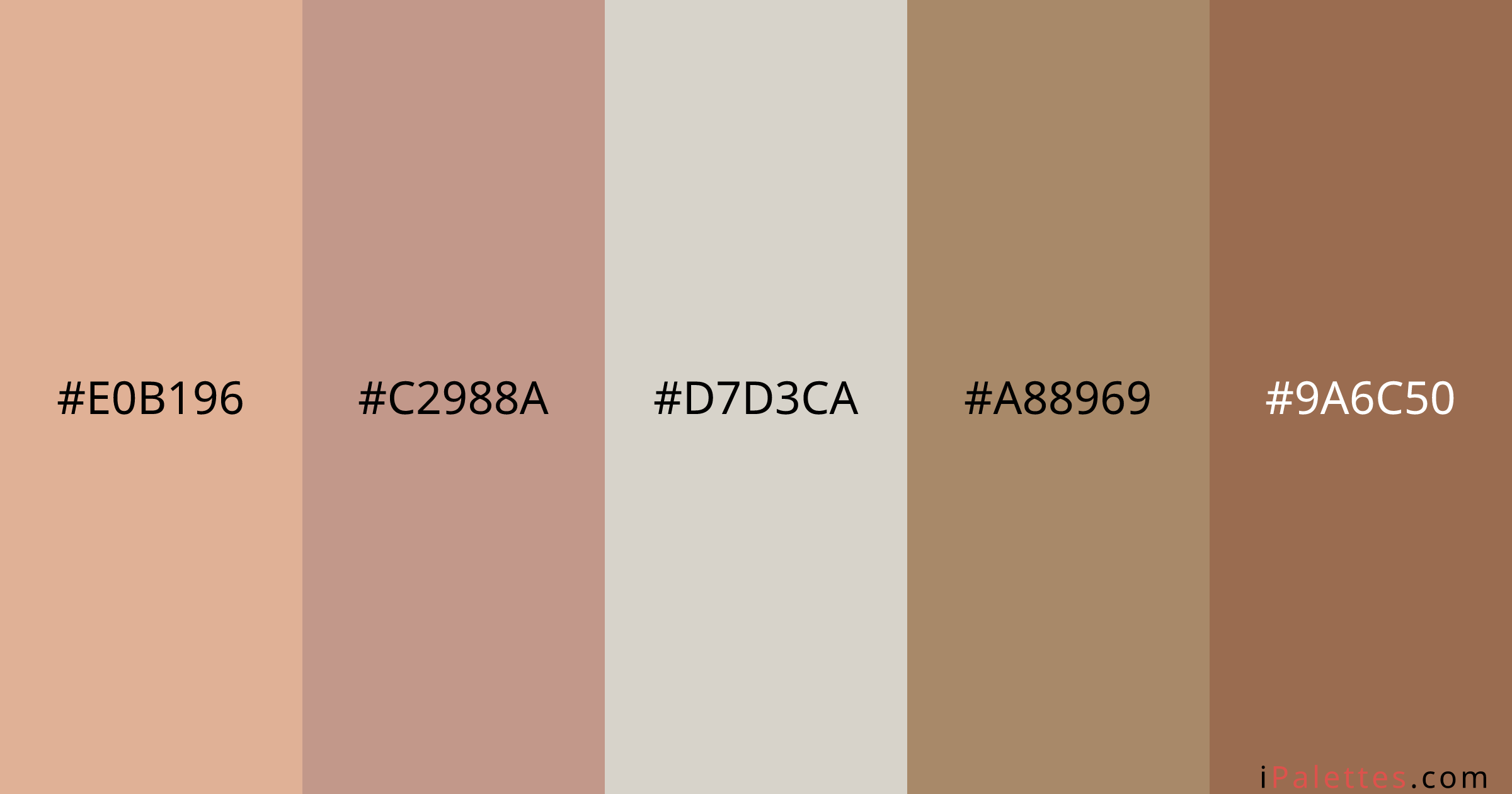 Skin Color Palette and colors #e0b196 #c2988a #d7d3ca #a88969 #9a6c50 ...