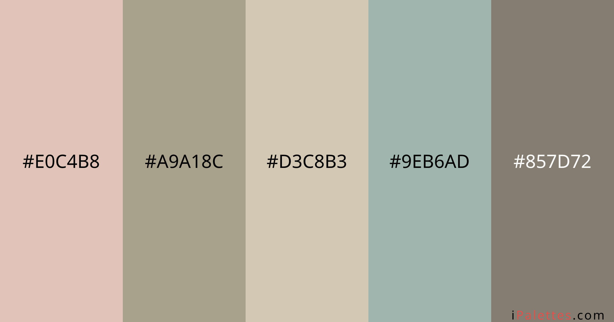 Shelly fossilian Color Palette and colors #e0c4b8 #a9a18c #d3c8b3 ...