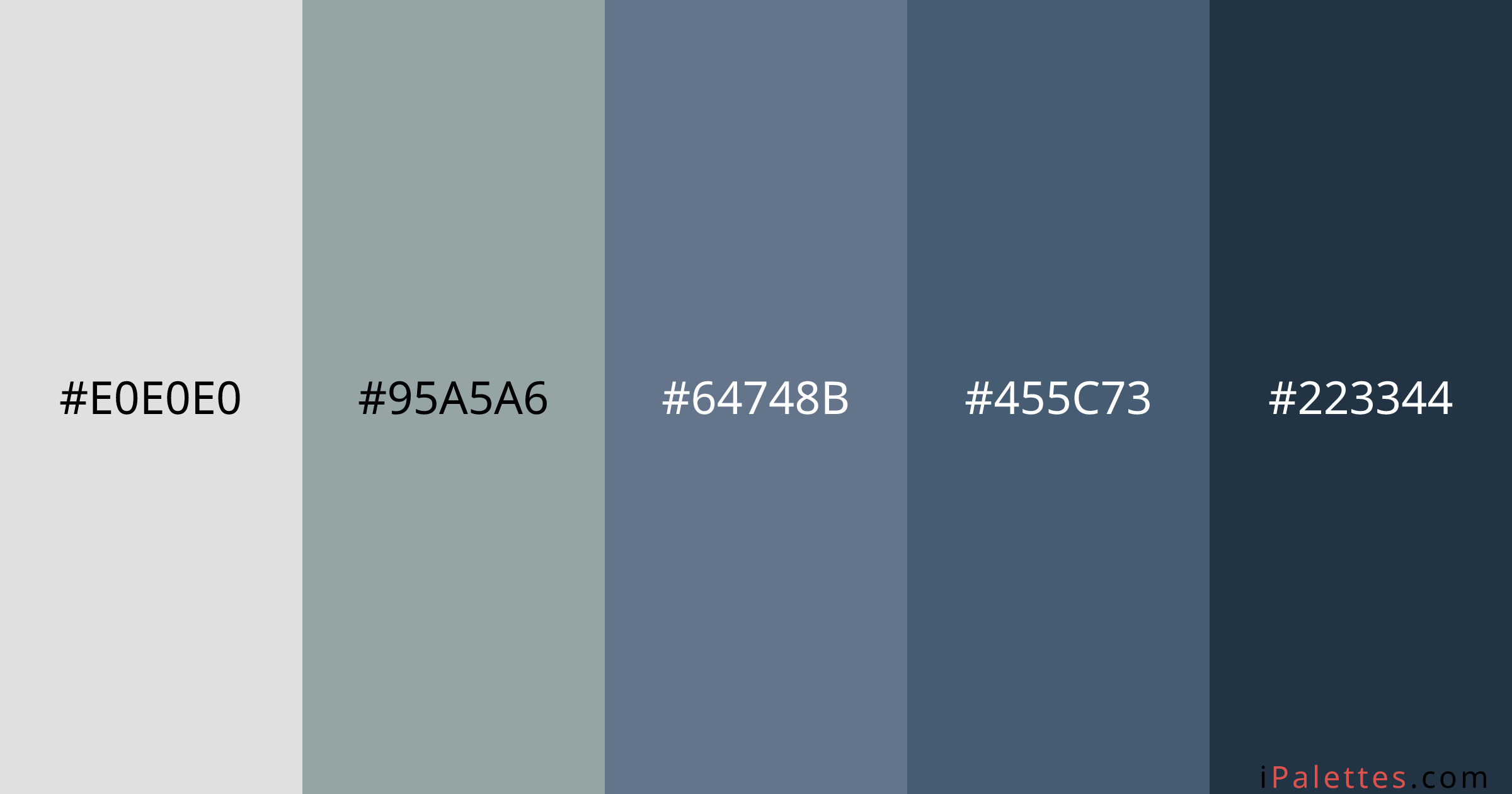 Probation Color Palette and colors #e0e0e0 #95a5a6 #64748b #455c73 ...