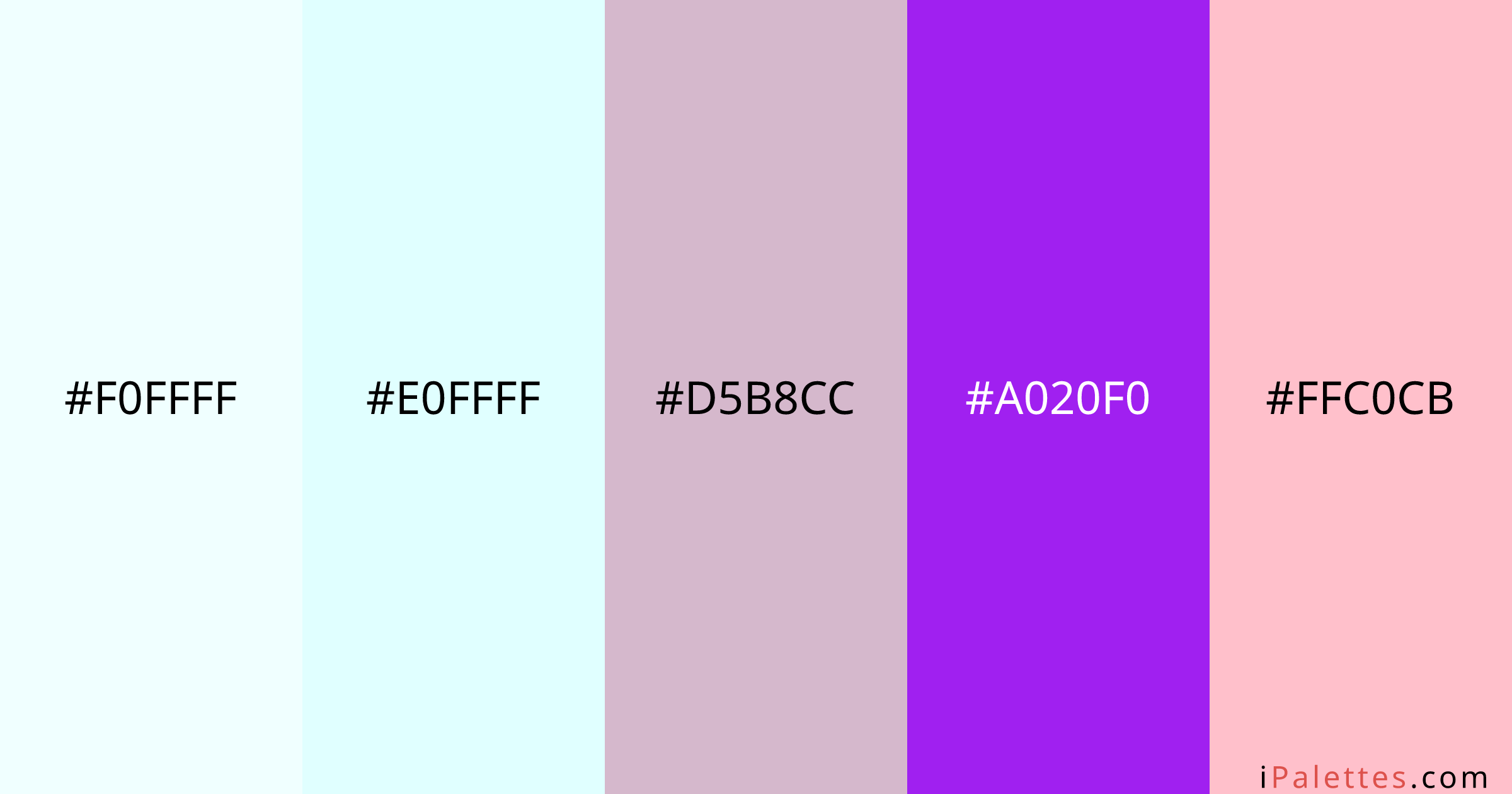 Ella Color Palette and colors #f0ffff #e0ffff #d5b8cc #a020f0 #ffc0cb ...