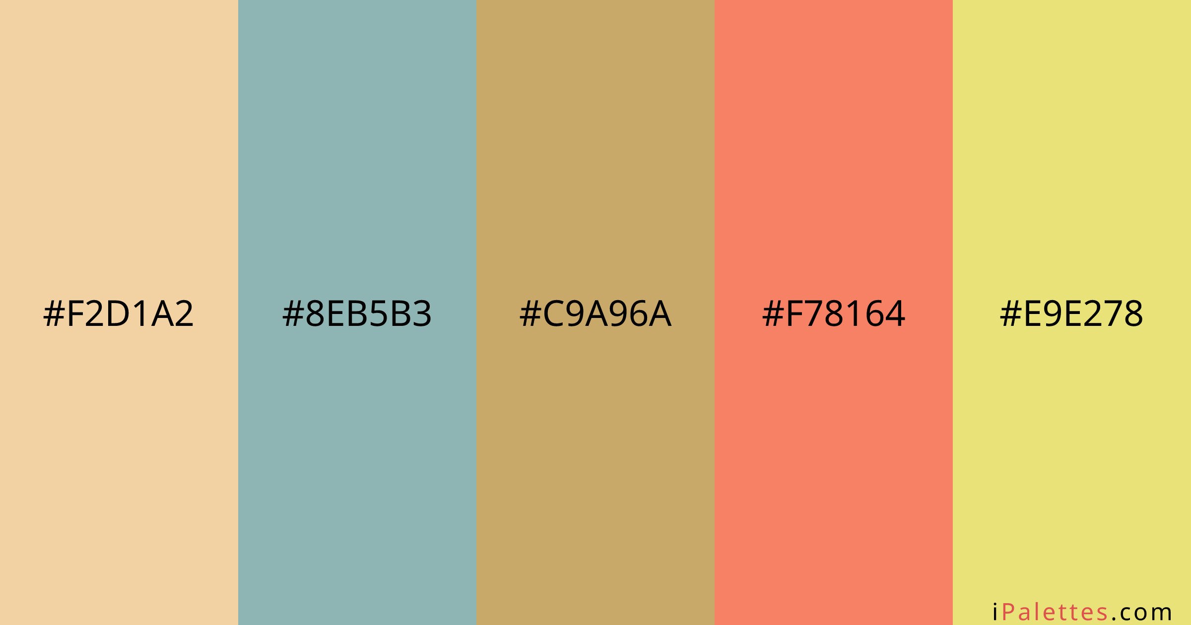 Bento Color Palette and colors #f2d1a2 #8eb5b3 #c9a96a #f78164 #e9e278 ...