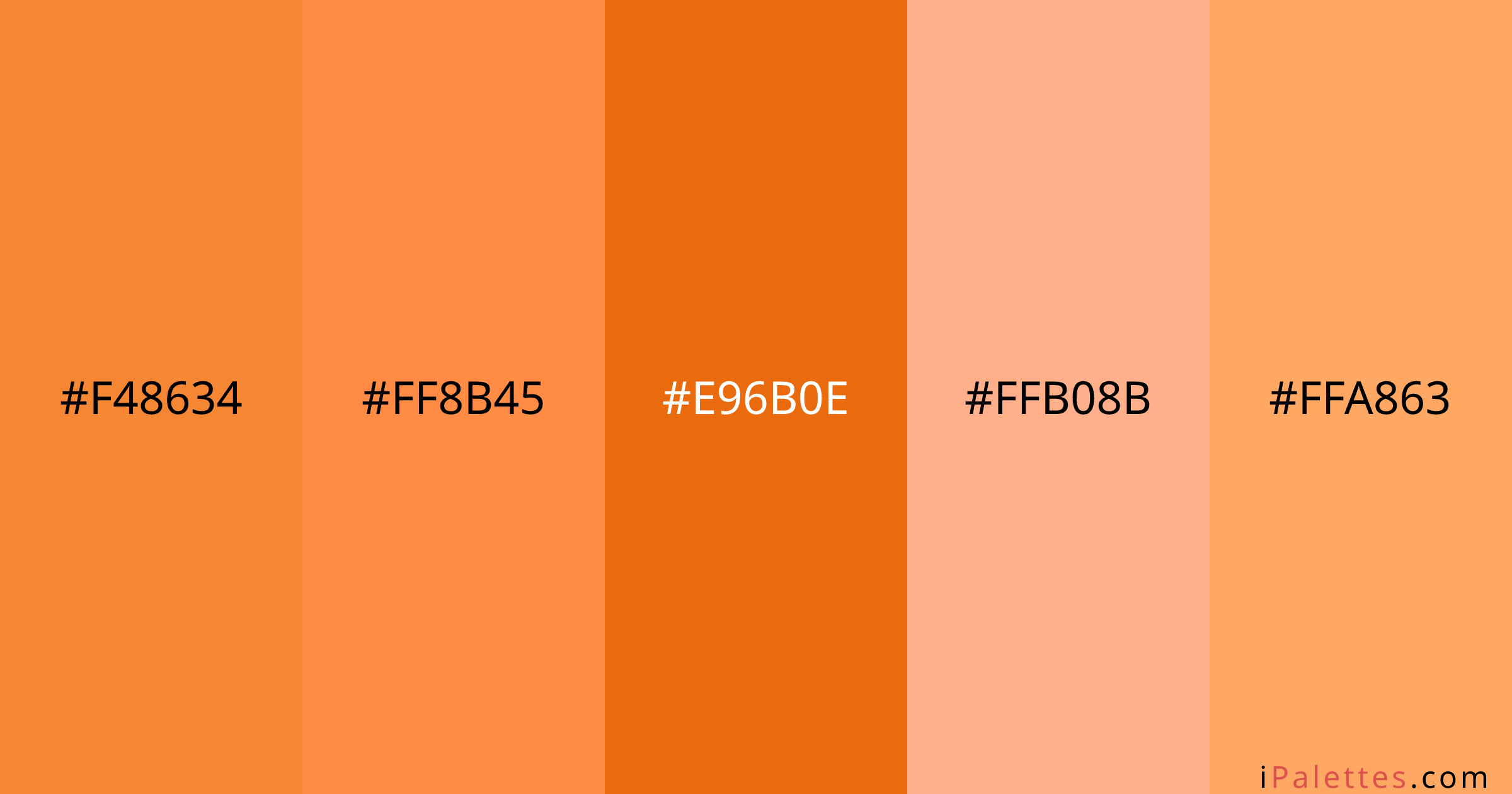F48634 Color Palette and colors #f48634 #ff8b45 #e96b0e #ffb08b #ffa863 ...