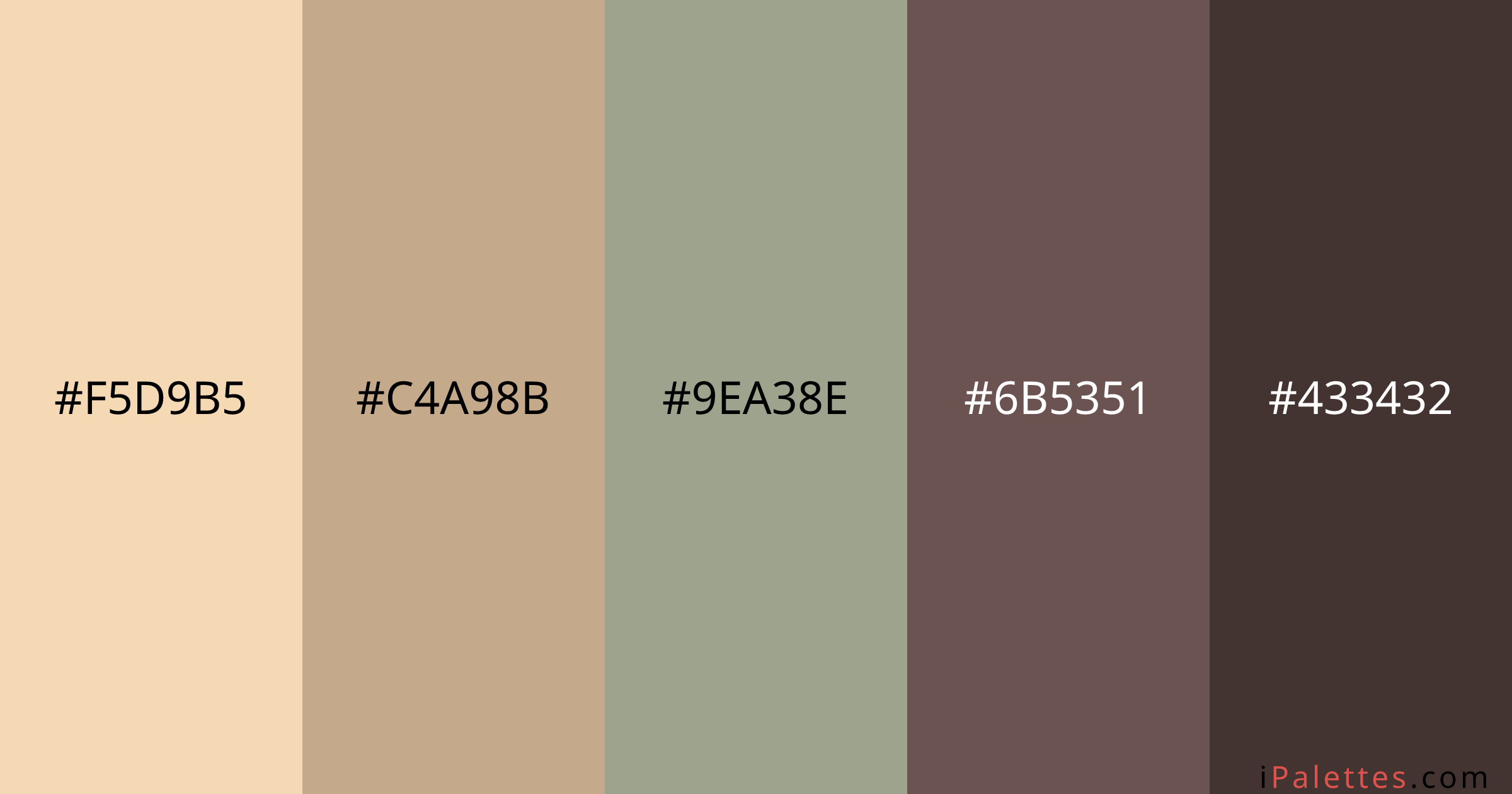 Cozy winter Color Palette and colors #f5d9b5 #c4a98b #9ea38e #6b5351 ...