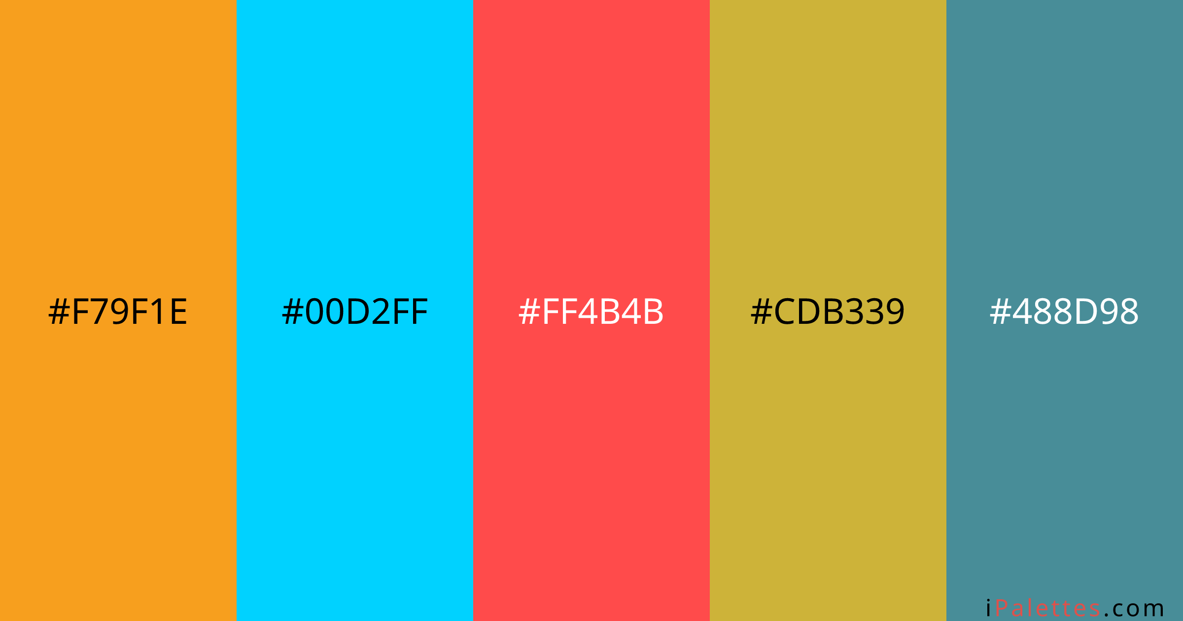 Yoyo Color Palette and colors #f79f1e #00d2ff #ff4b4b #cdb339 #488d98 ...